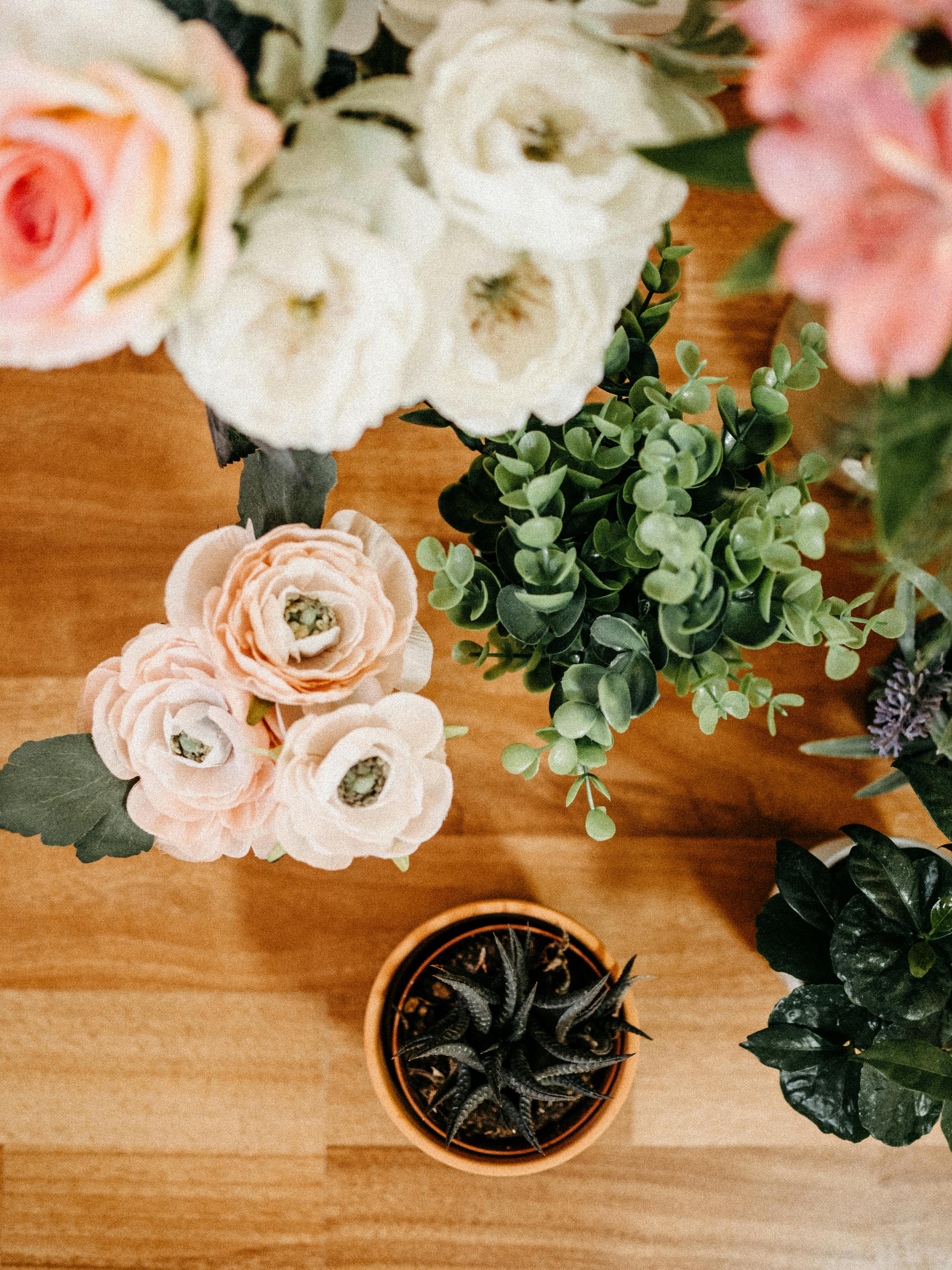 Overhead Shot of Red Roses Beside a Cup of Tea · Free Stock Photo