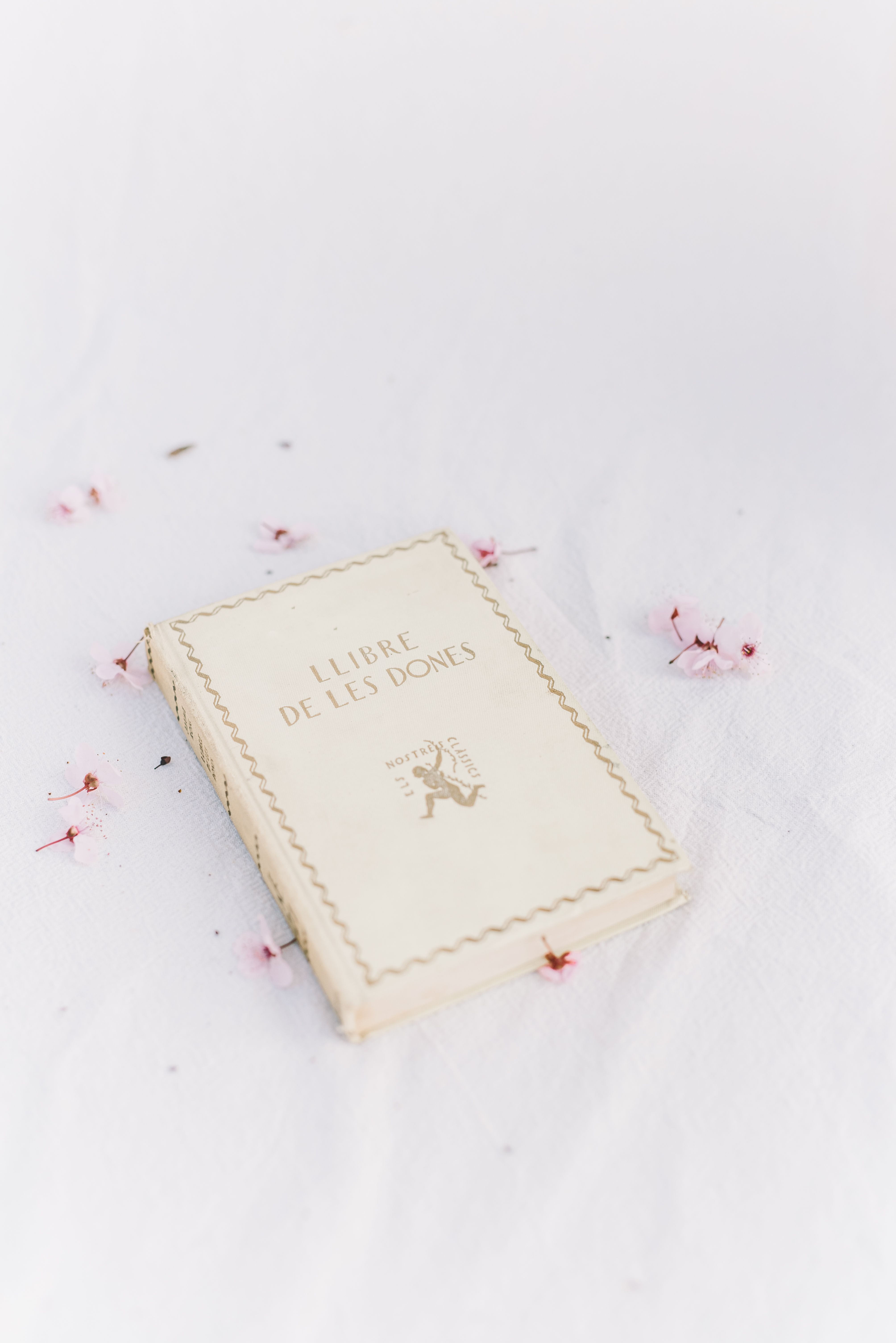 Scattered Books Photos, Download The BEST Free Scattered Books Stock ...