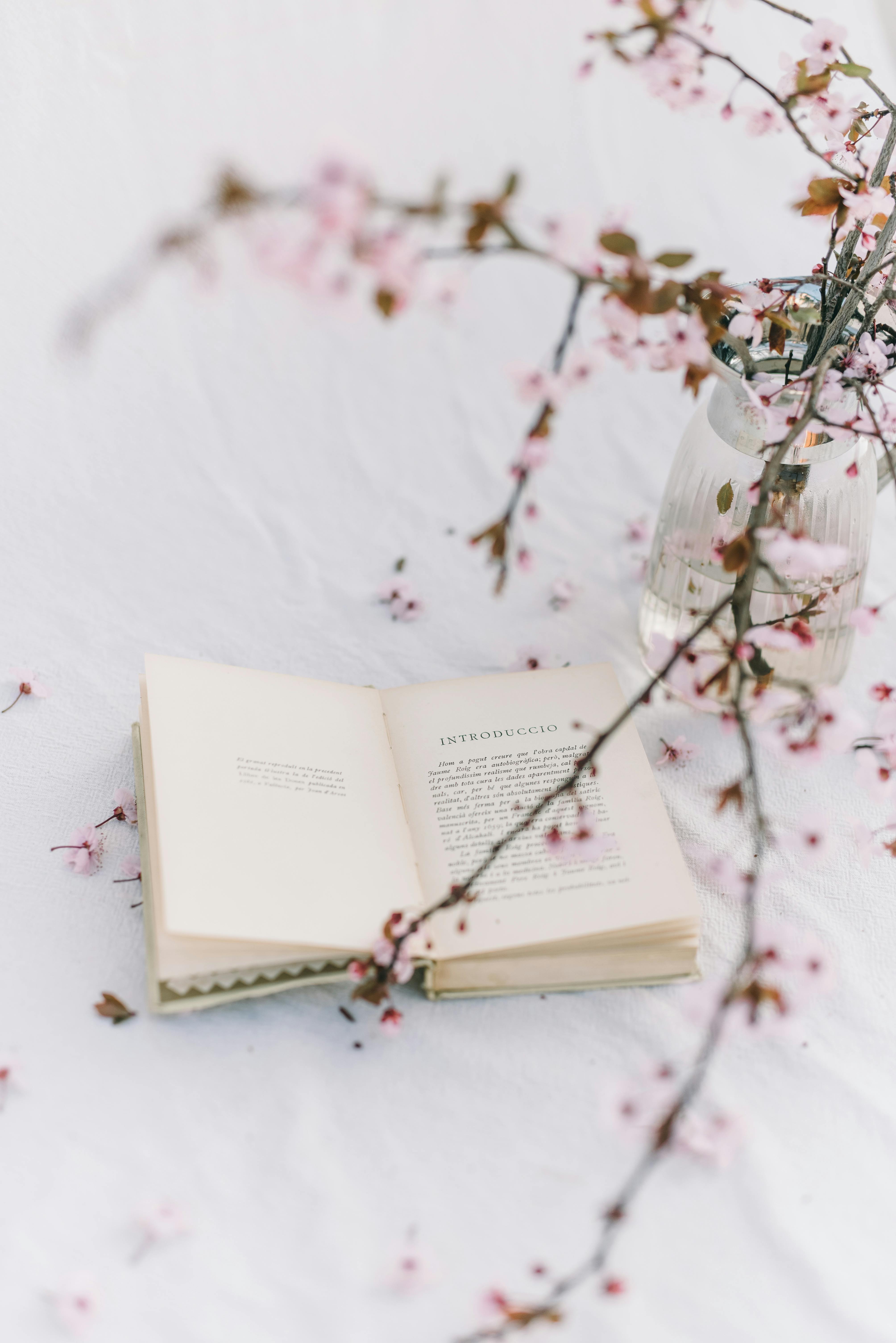 High Angle Shot of an Open Book · Free Stock Photo