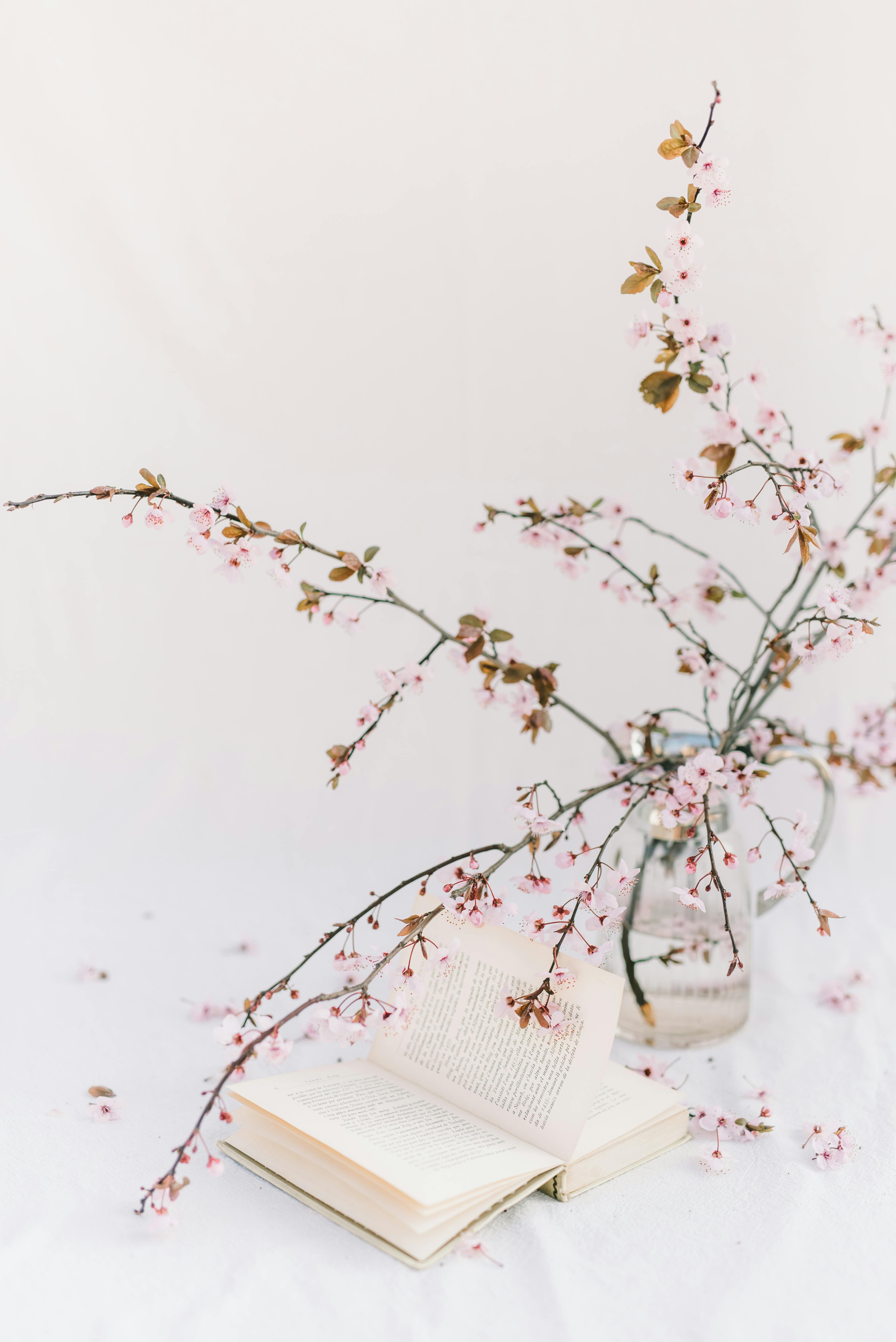 High Angle Shot of an Open Book · Free Stock Photo