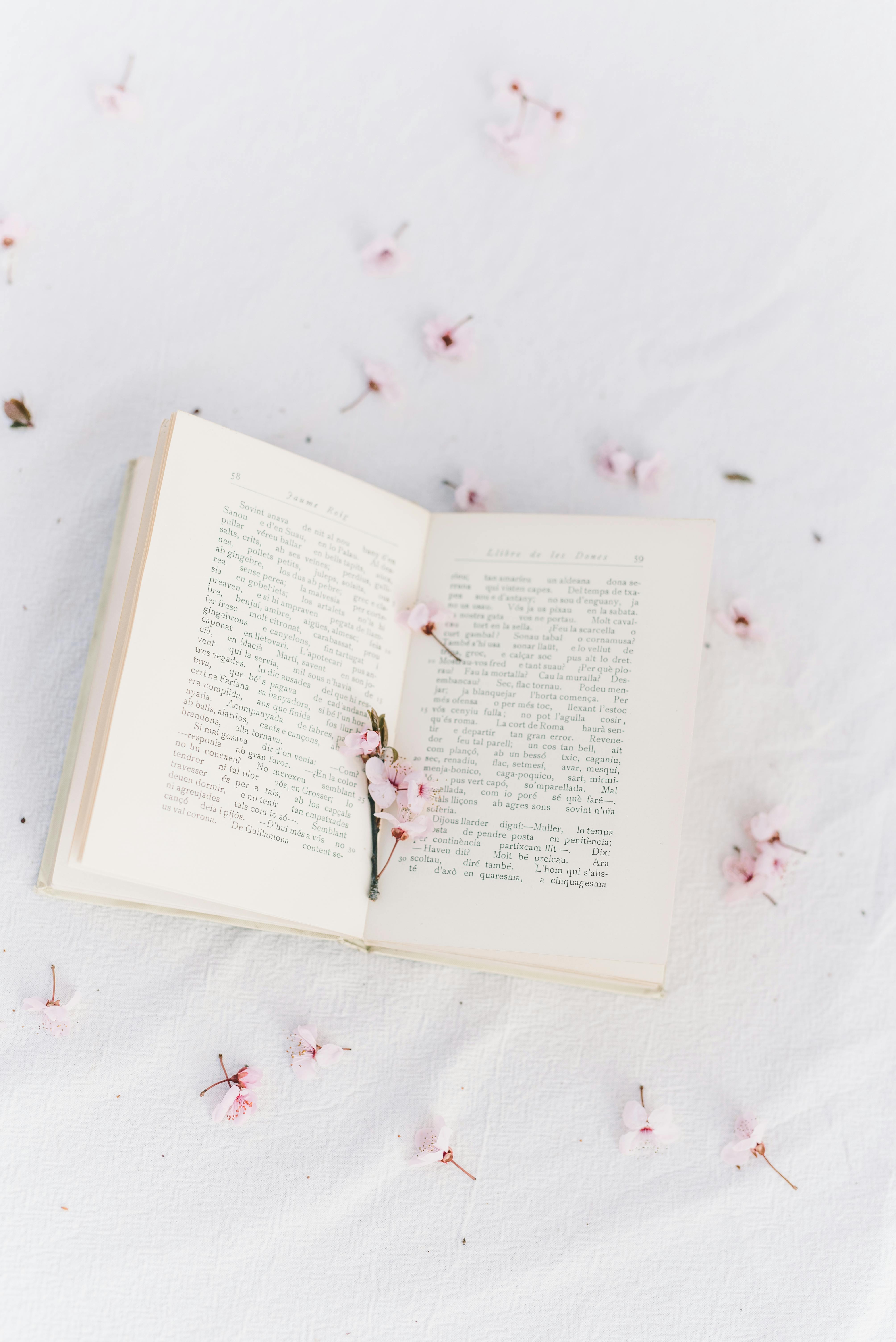 High Angle Shot of an Open Book · Free Stock Photo