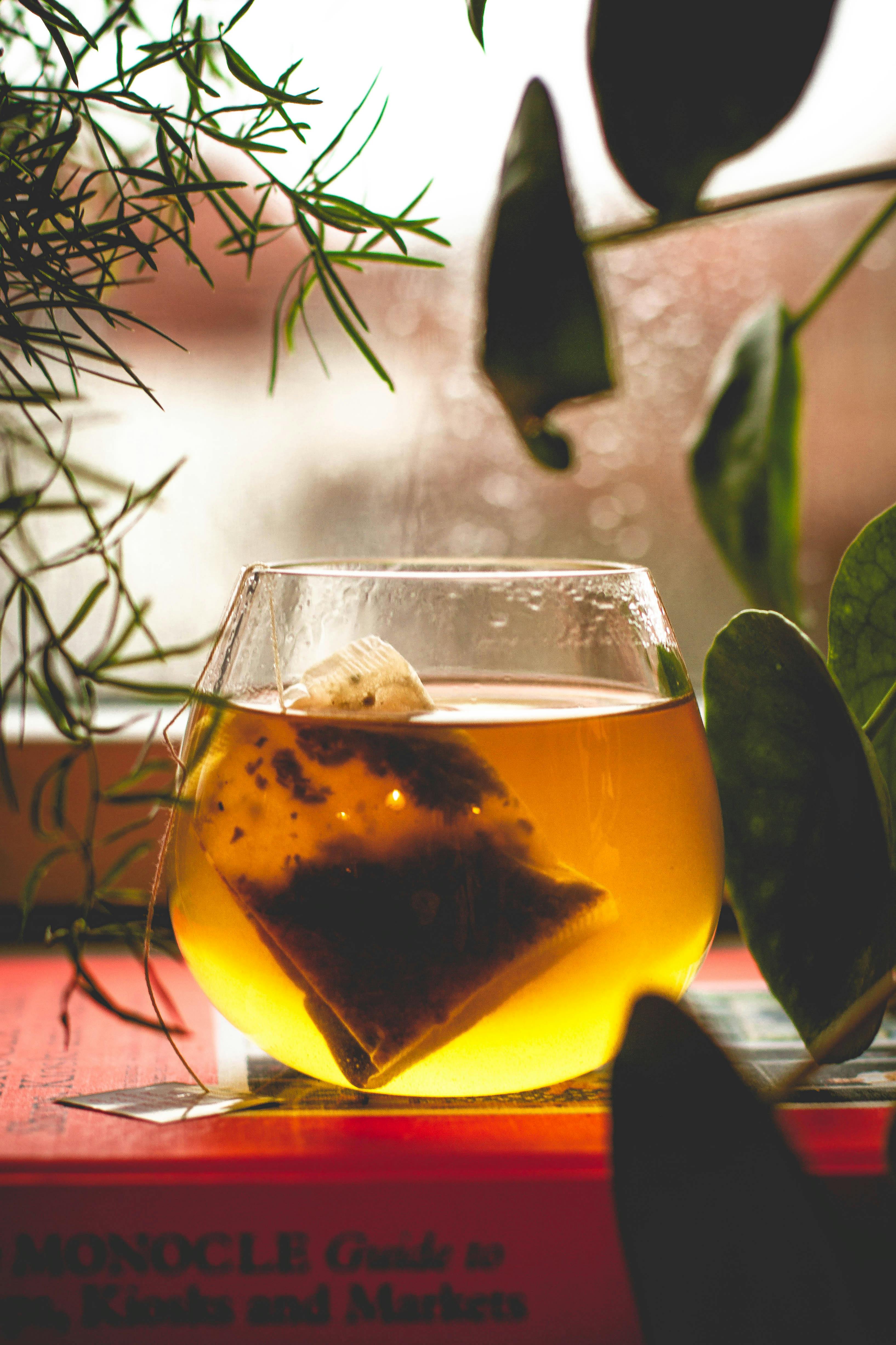 A Glass of Hot Tea · Free Stock Photo