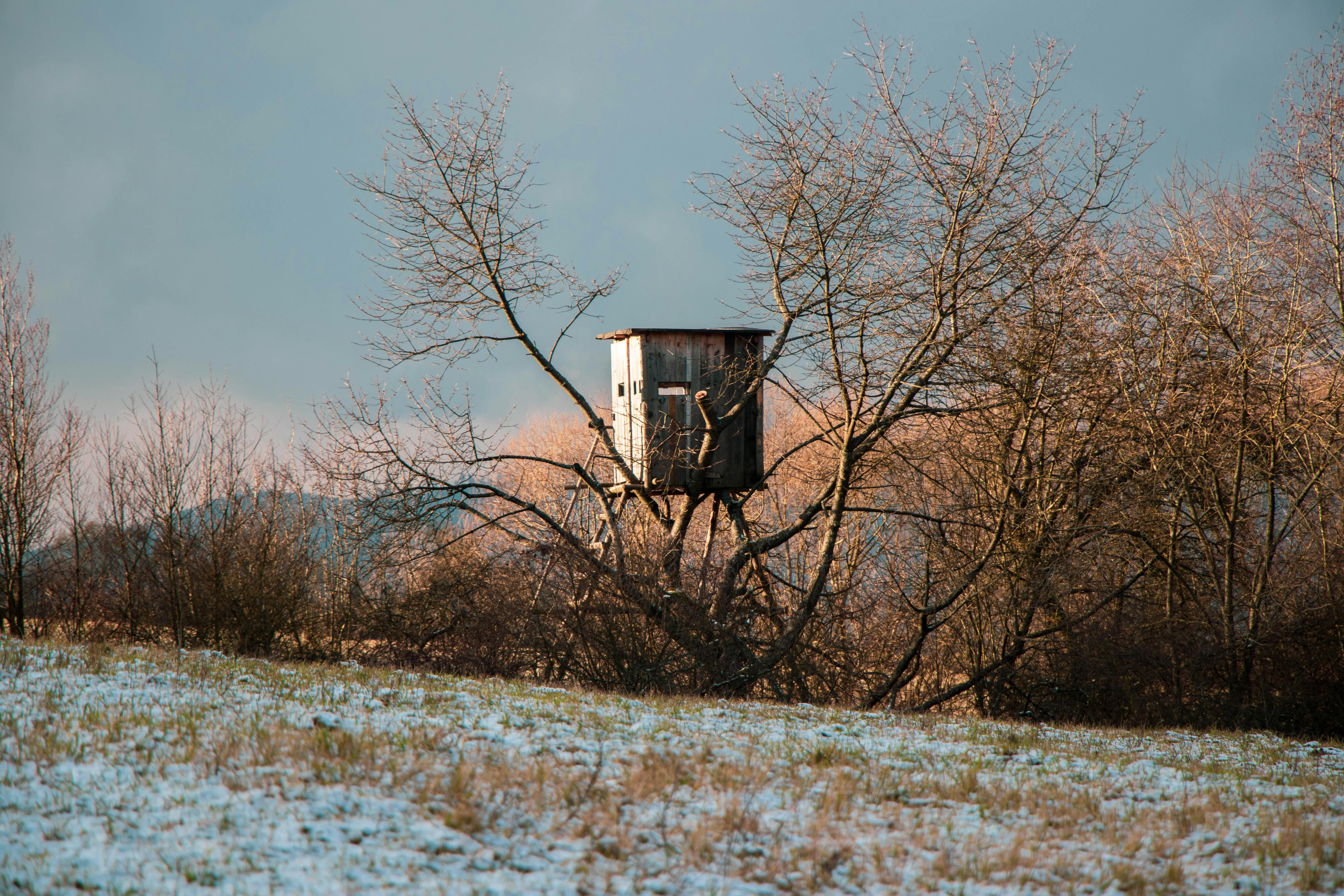 Wooden Watch Tower on a Snowy Hill in Forest · Free Stock Photo