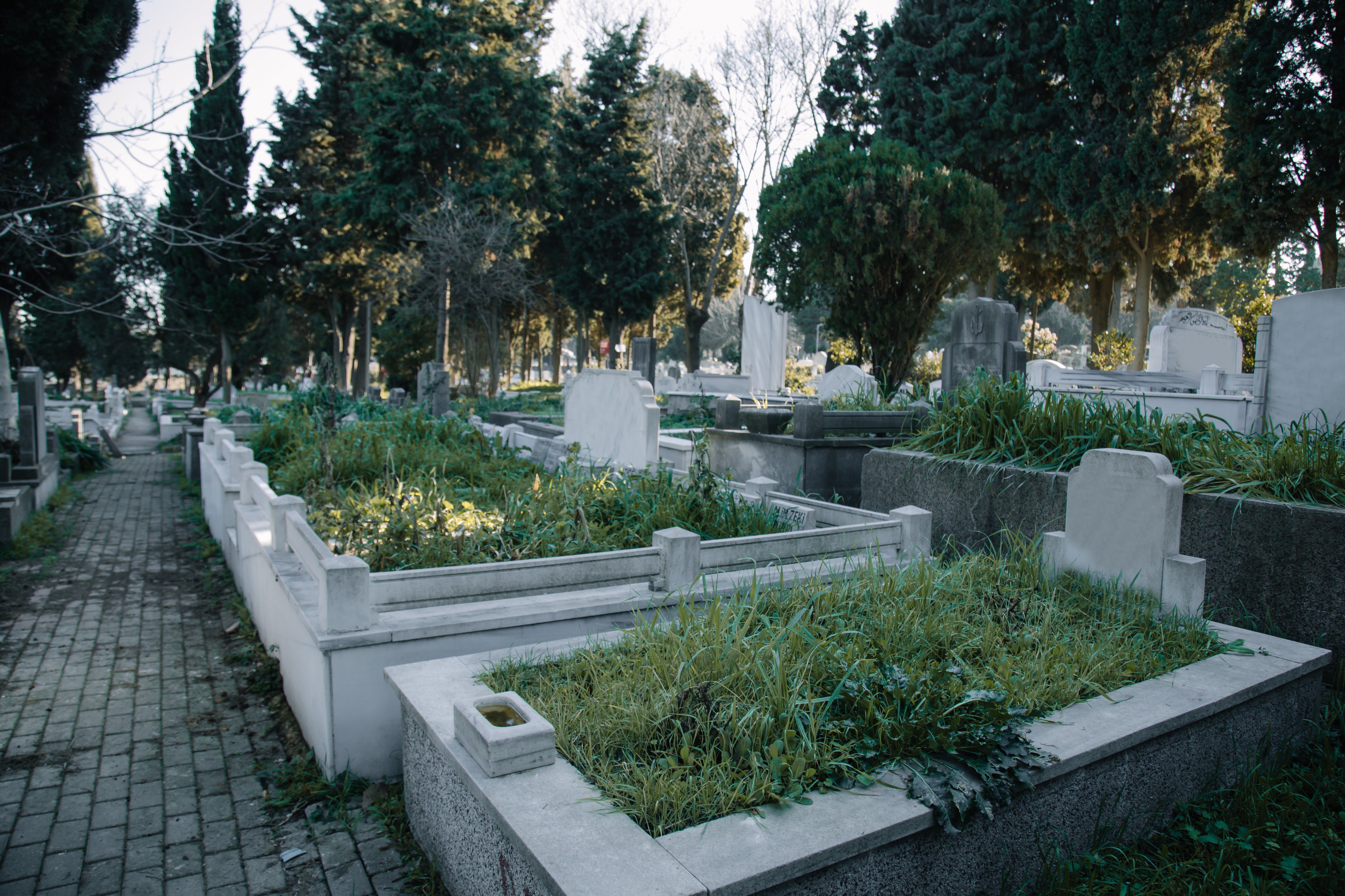 Graves with tombstones and grass in cemetery · Free Stock Photo
