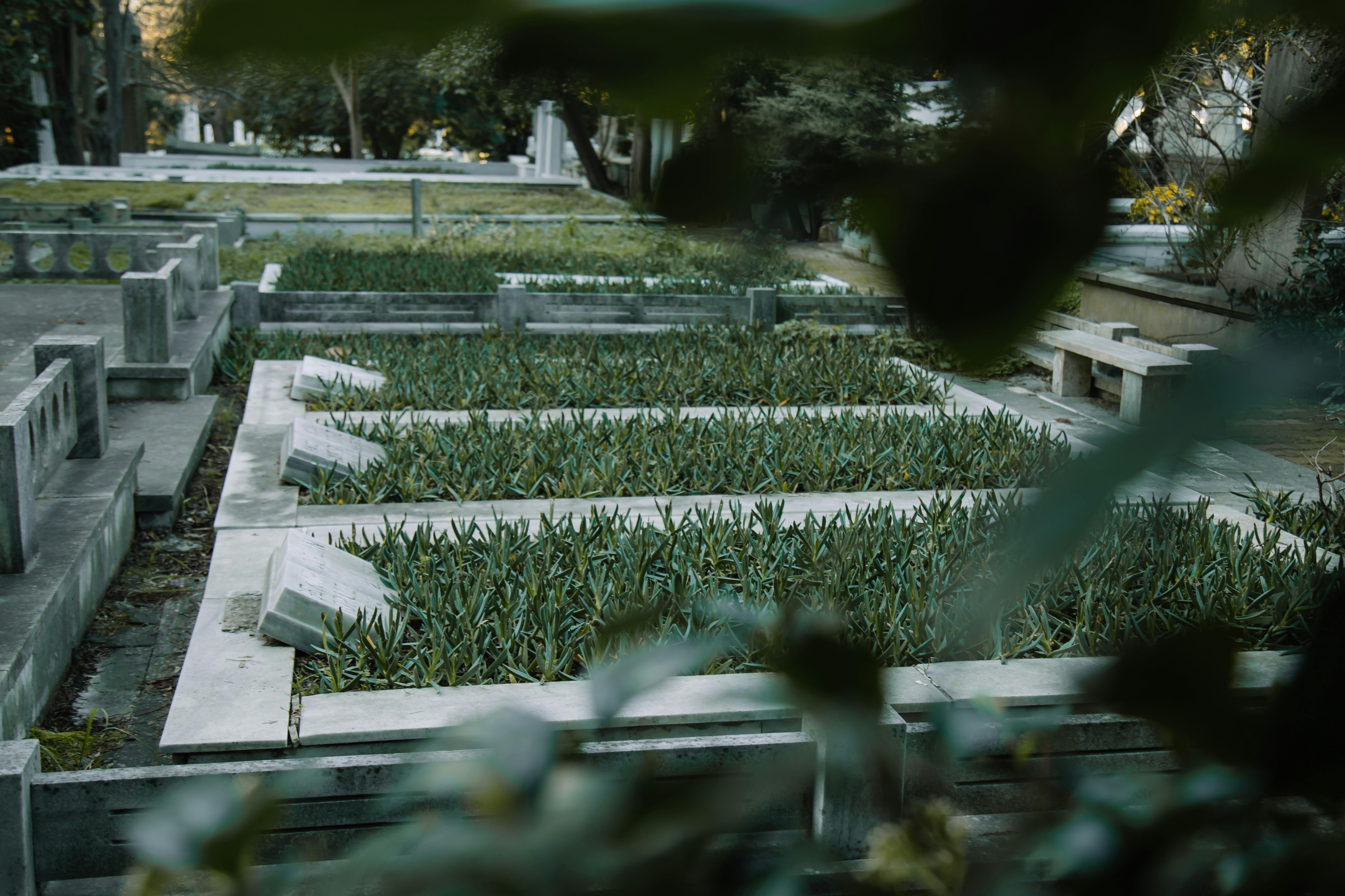 Graves with tombstones and green plants in cemetery · Free Stock Photo
