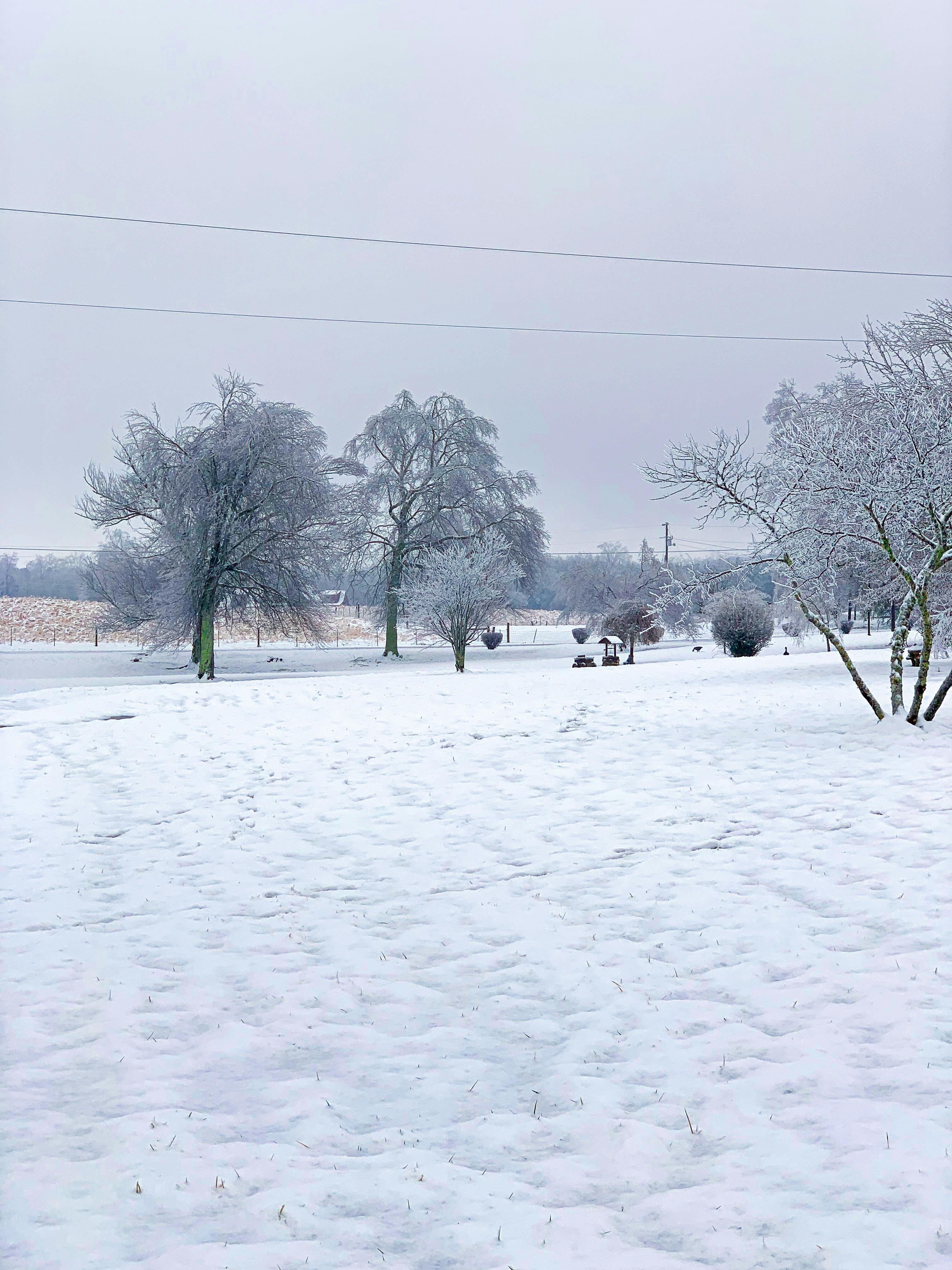 Dale Gardner - Photography