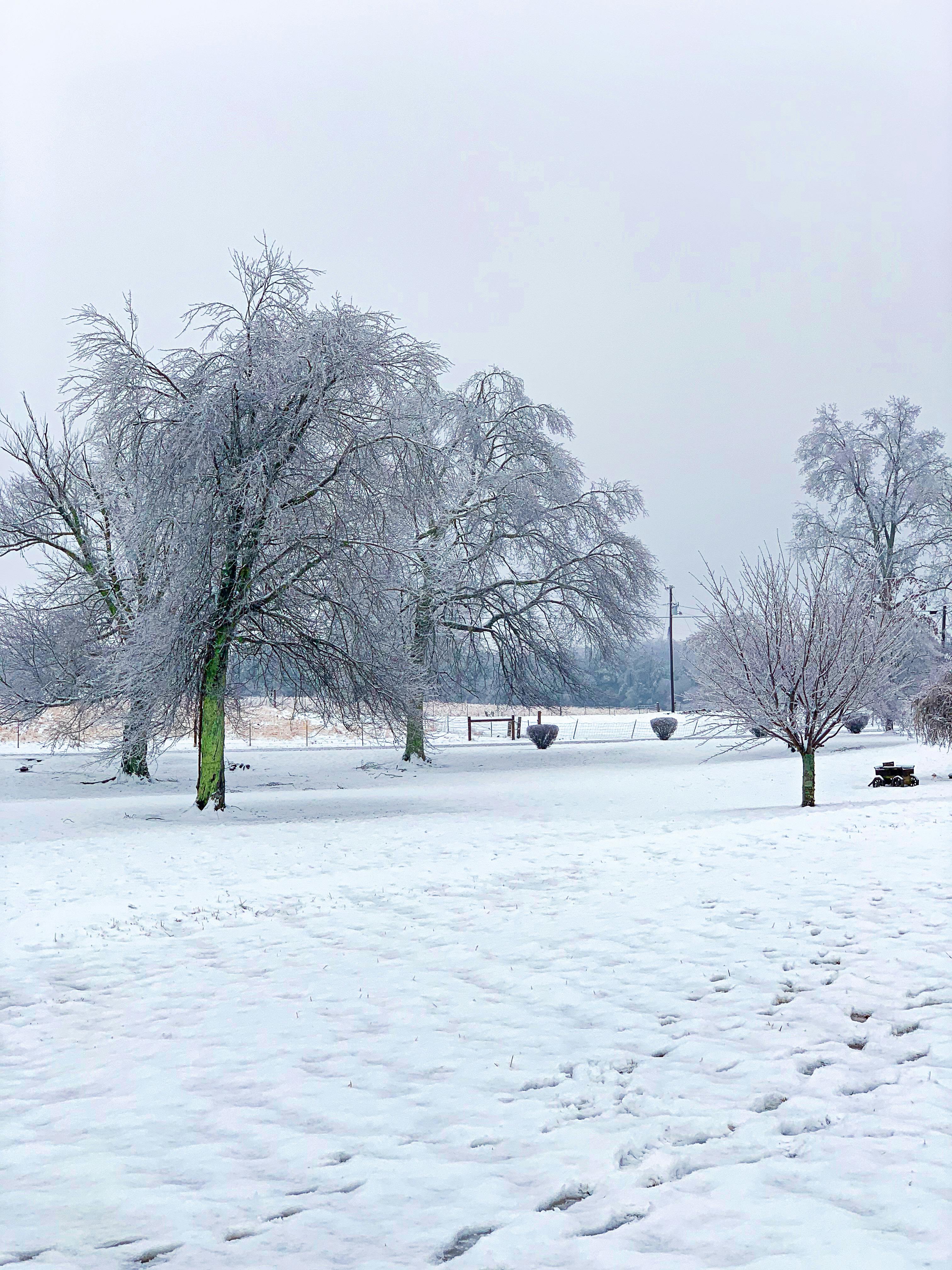 Dale Gardner - Photography