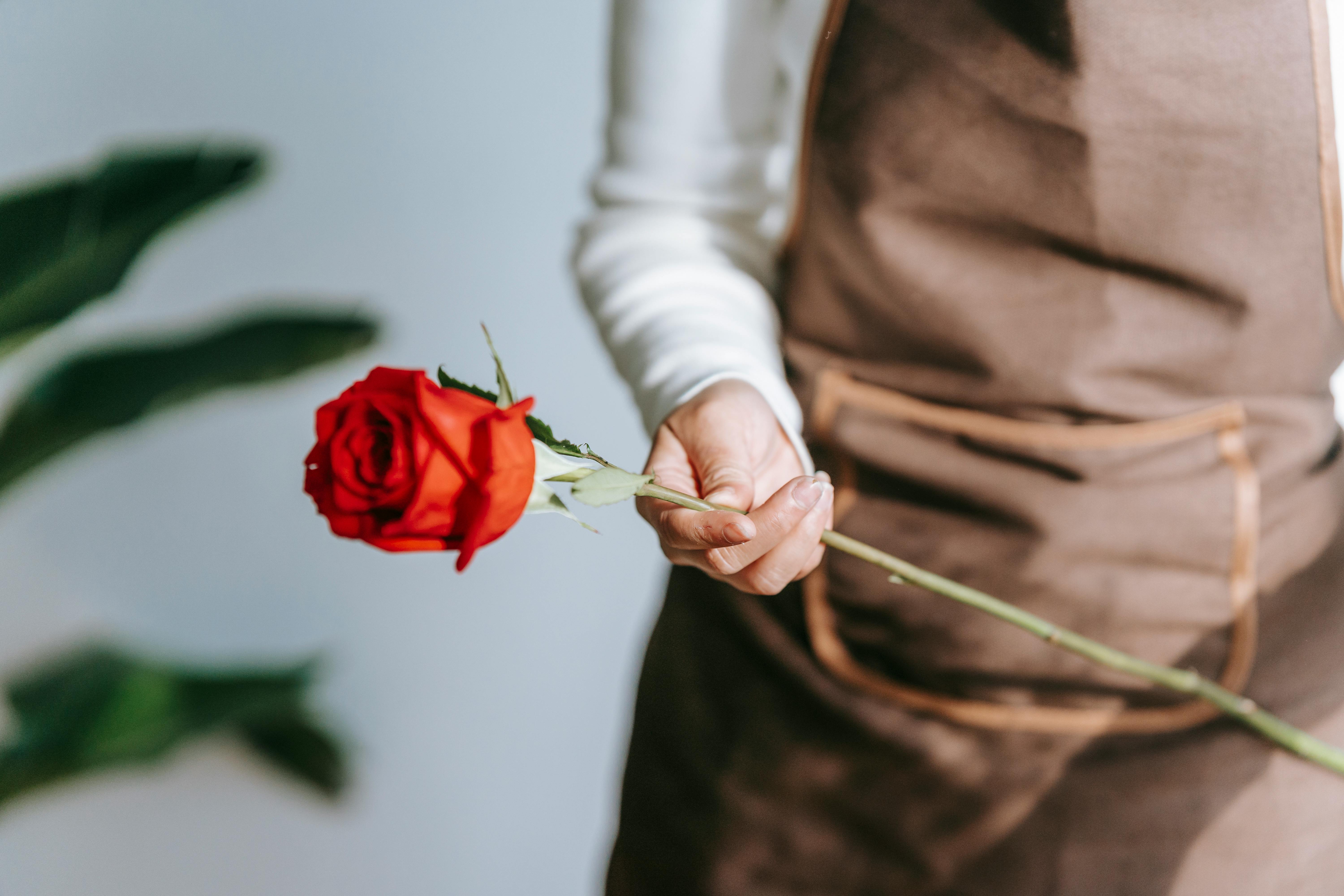 Retail Employee Photos, Download Free Retail Employee Stock Photos & HD ...