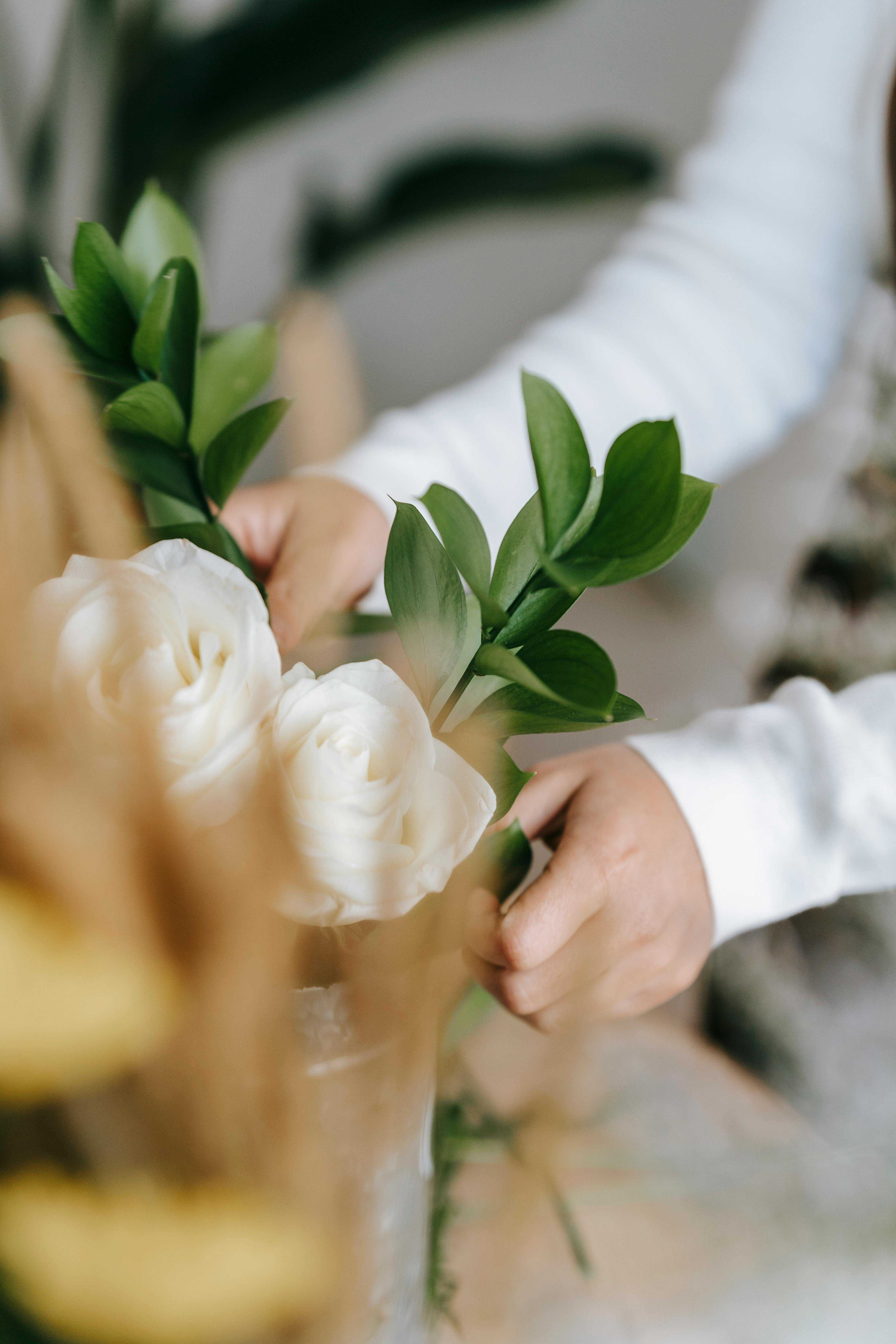 Florist arranging white fresh roses for gift · Free Stock Photo