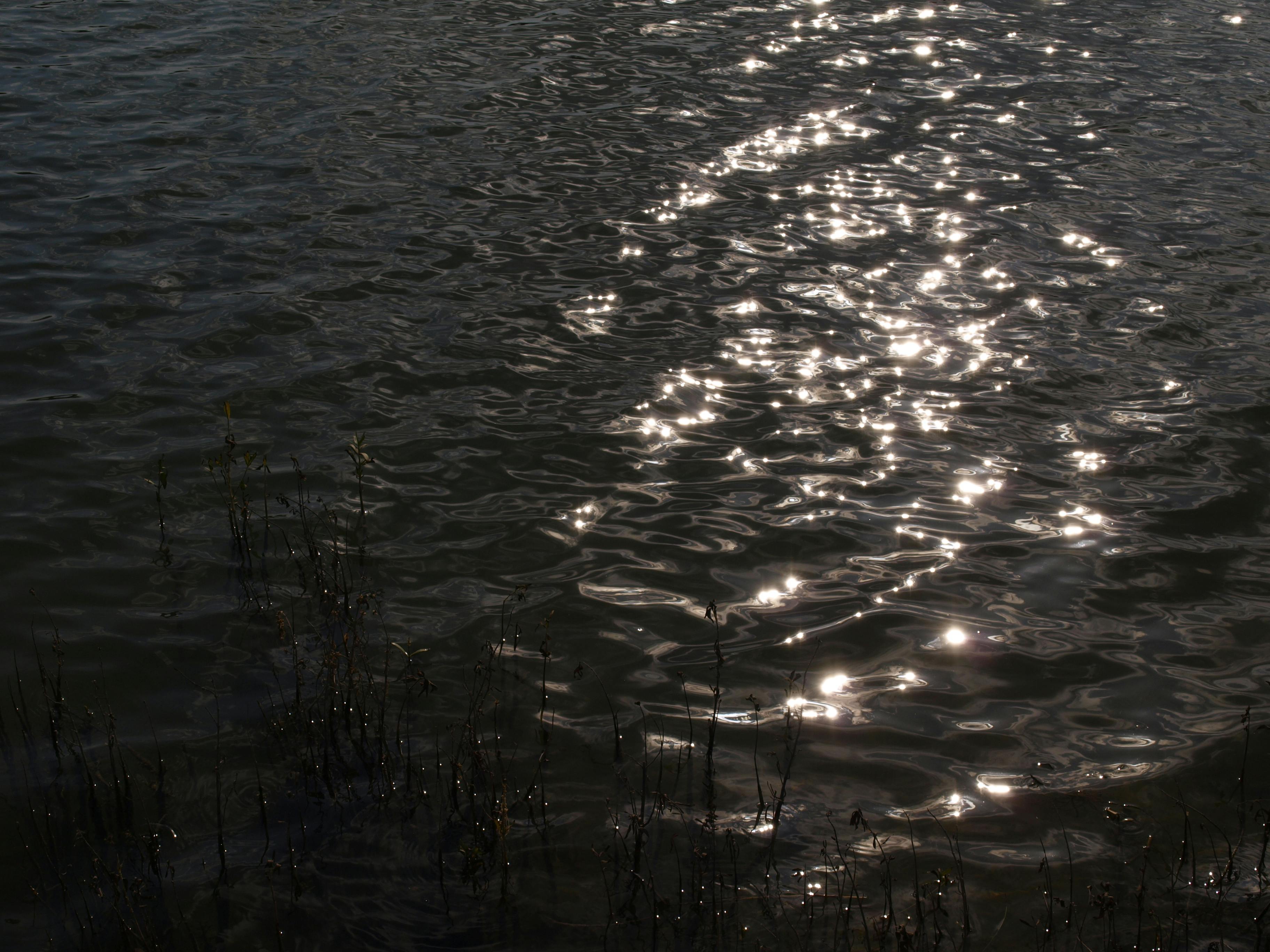 Free stock photo of light reflections, lights