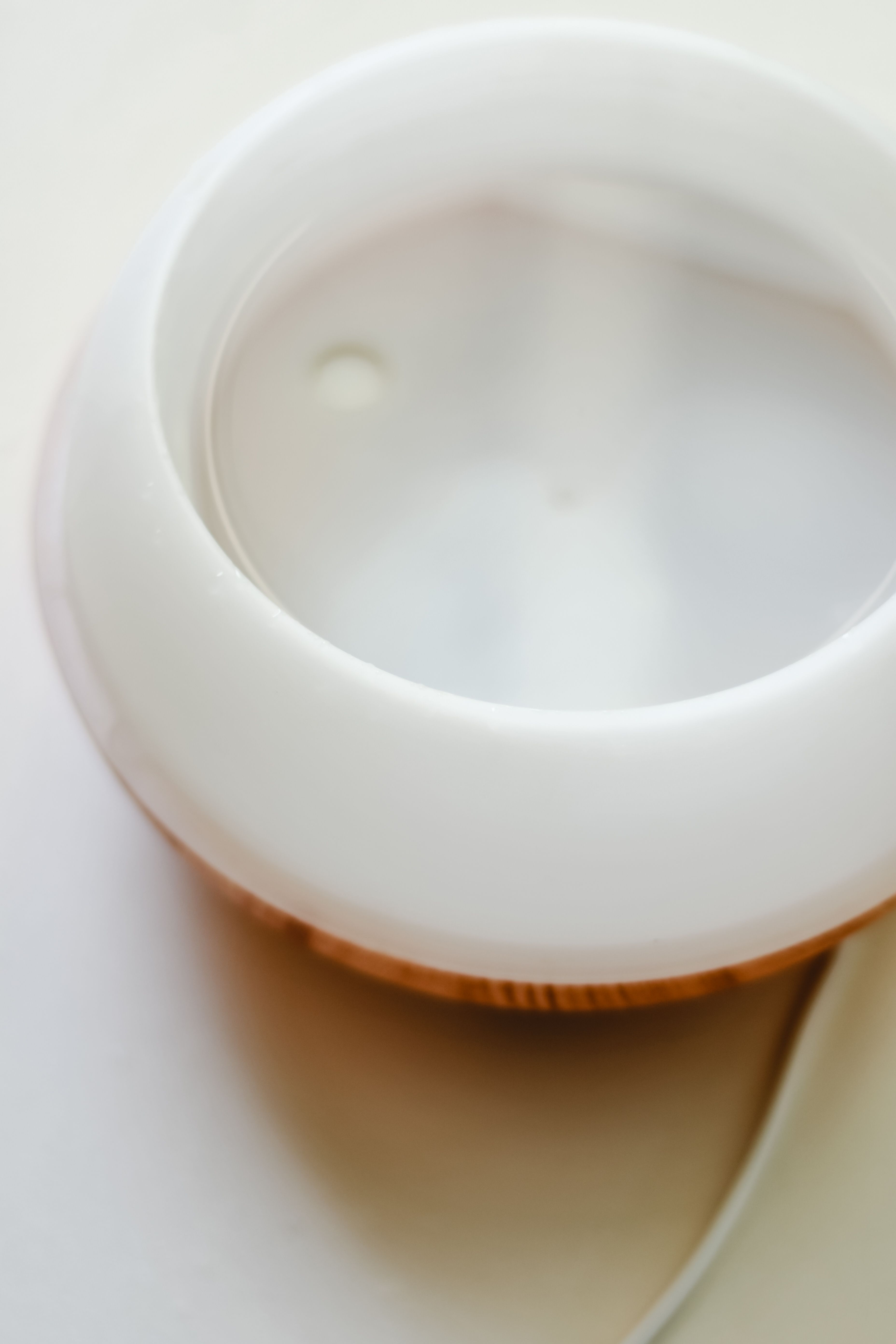 White Round Plastic Bowl in Macro Photography · Free Stock Photo