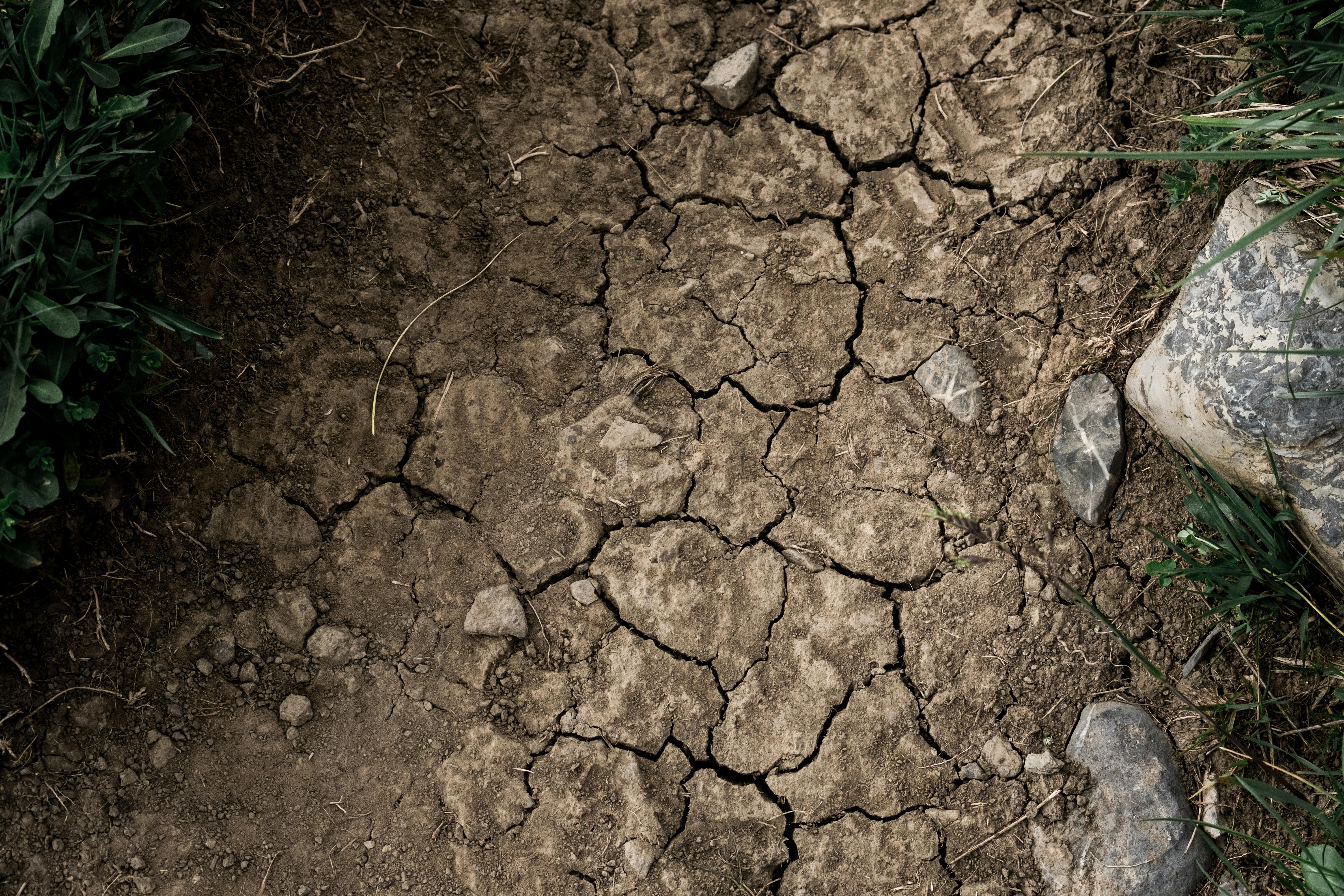 Photo of a Dried Mud · Free Stock Photo