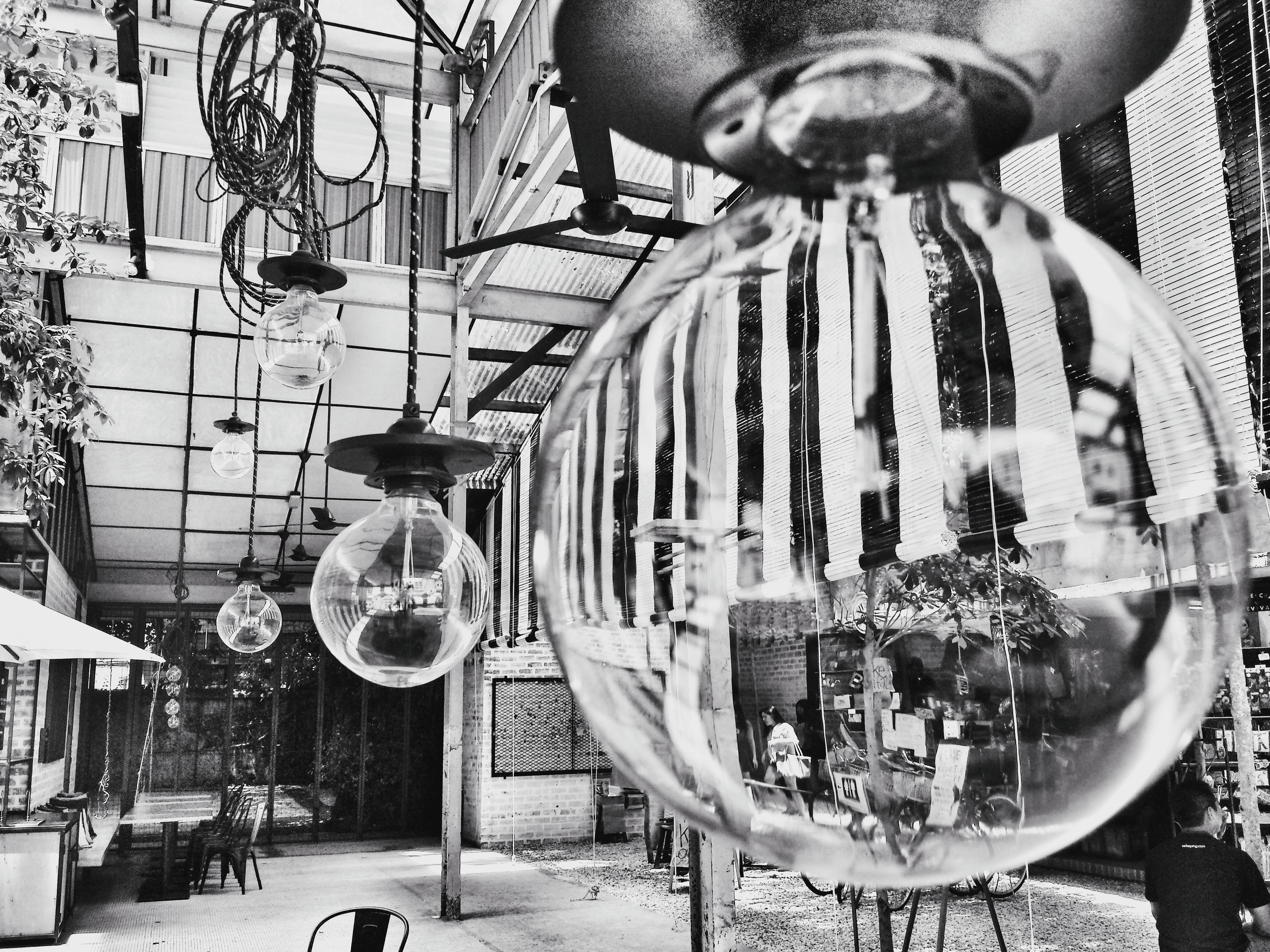 Amy Chandra - 写真