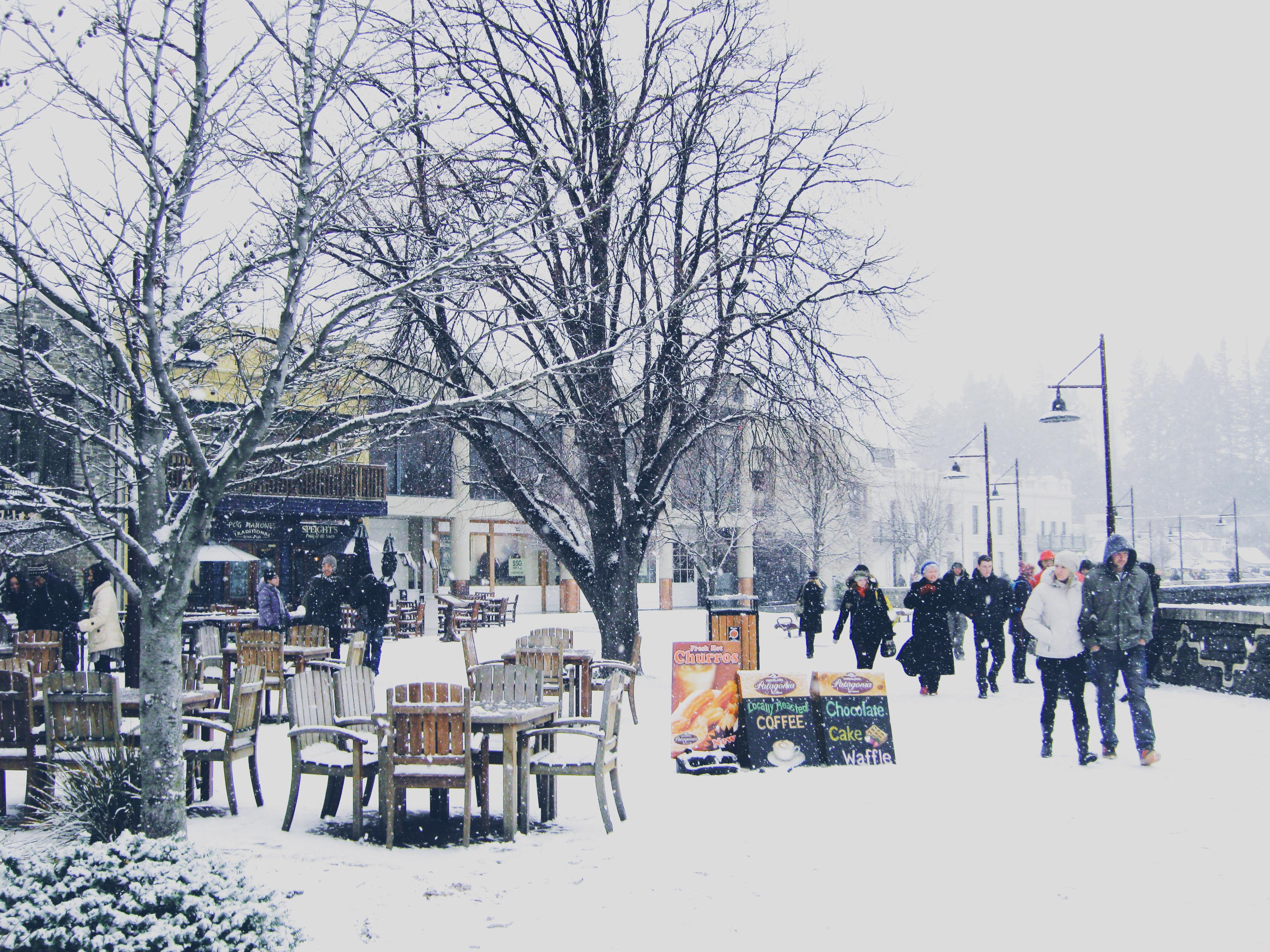 Amy Chandra - 写真