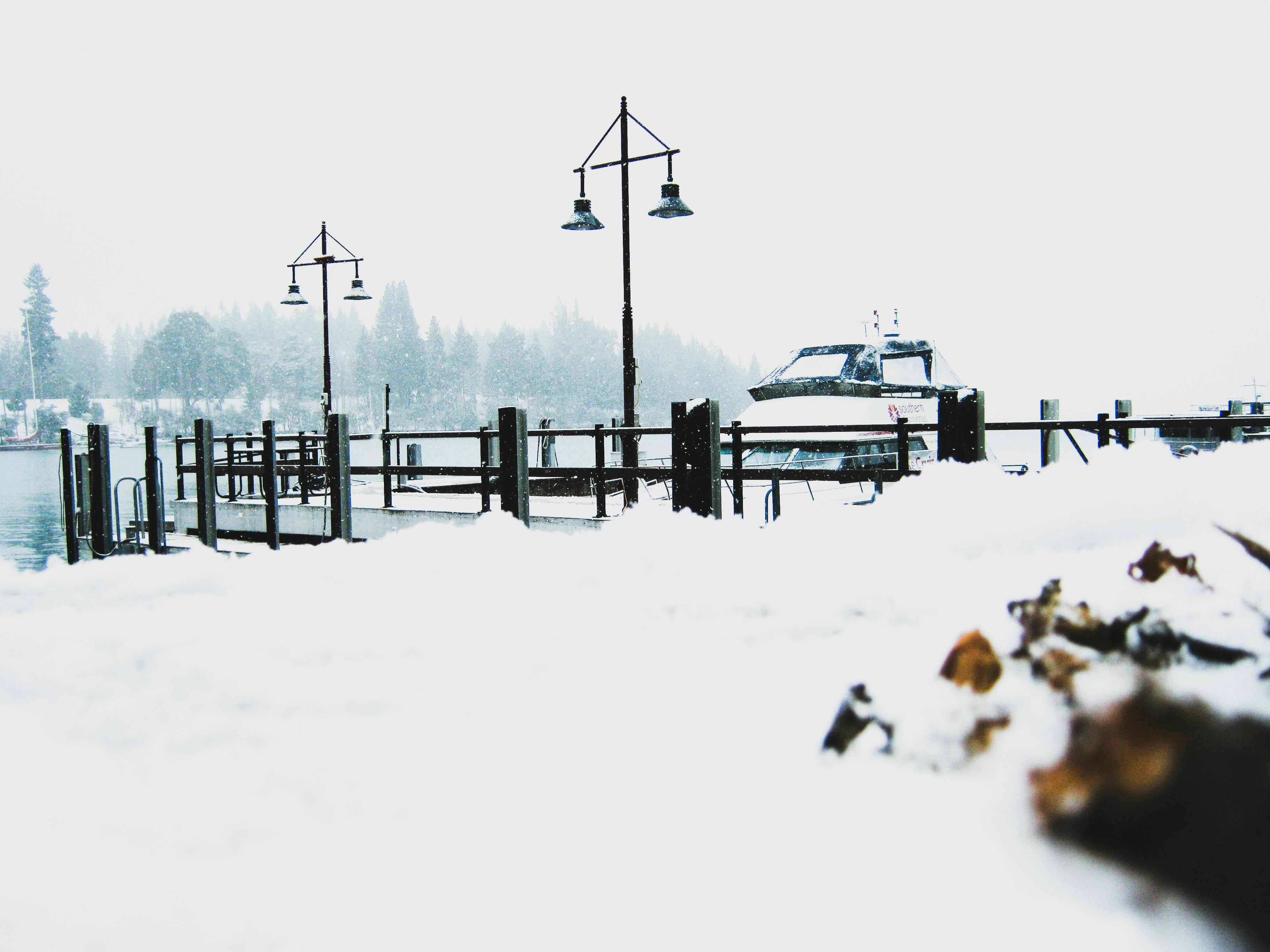 Amy Chandra - 写真