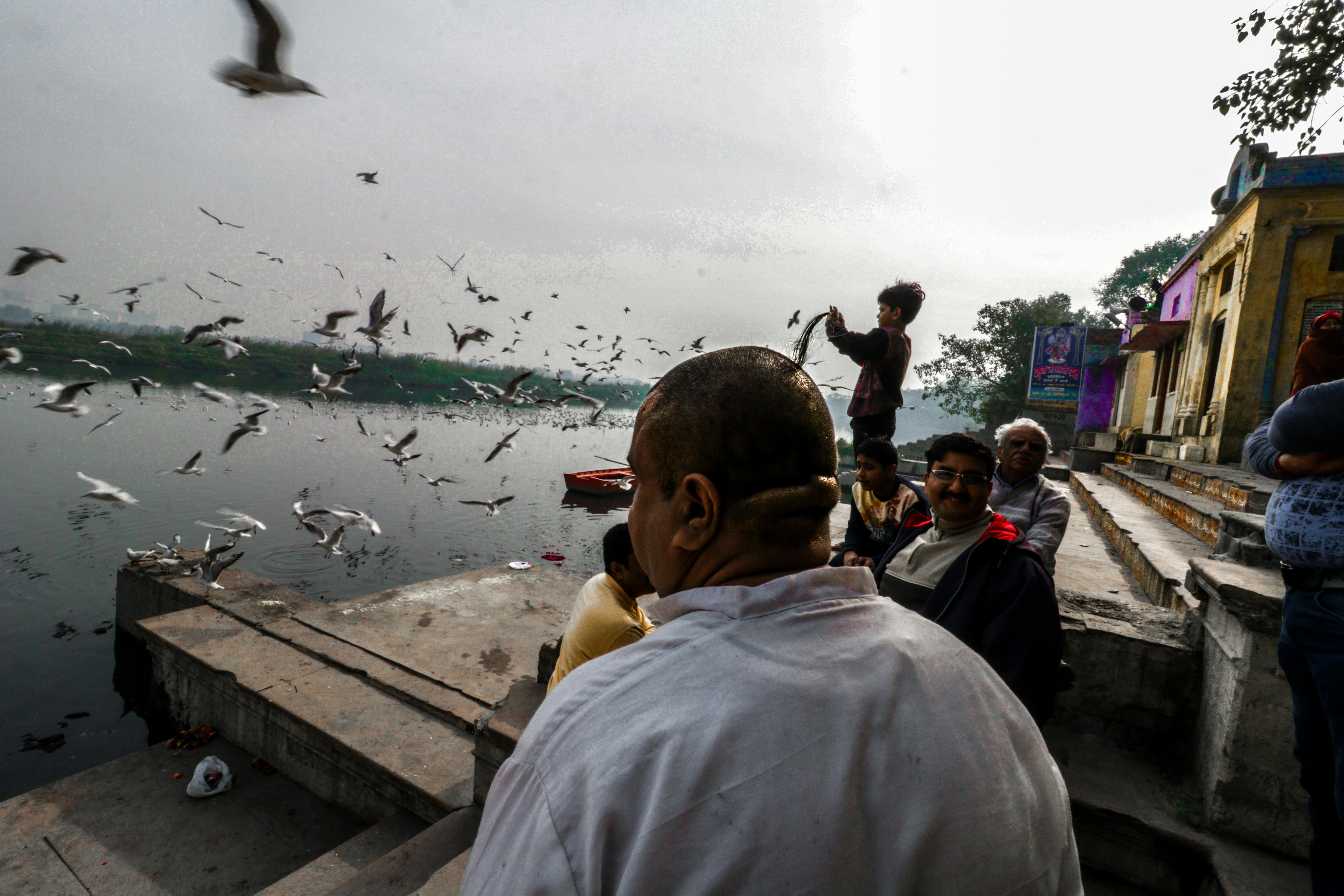 Street 24 Photos & Videos Collected by Dev Raj