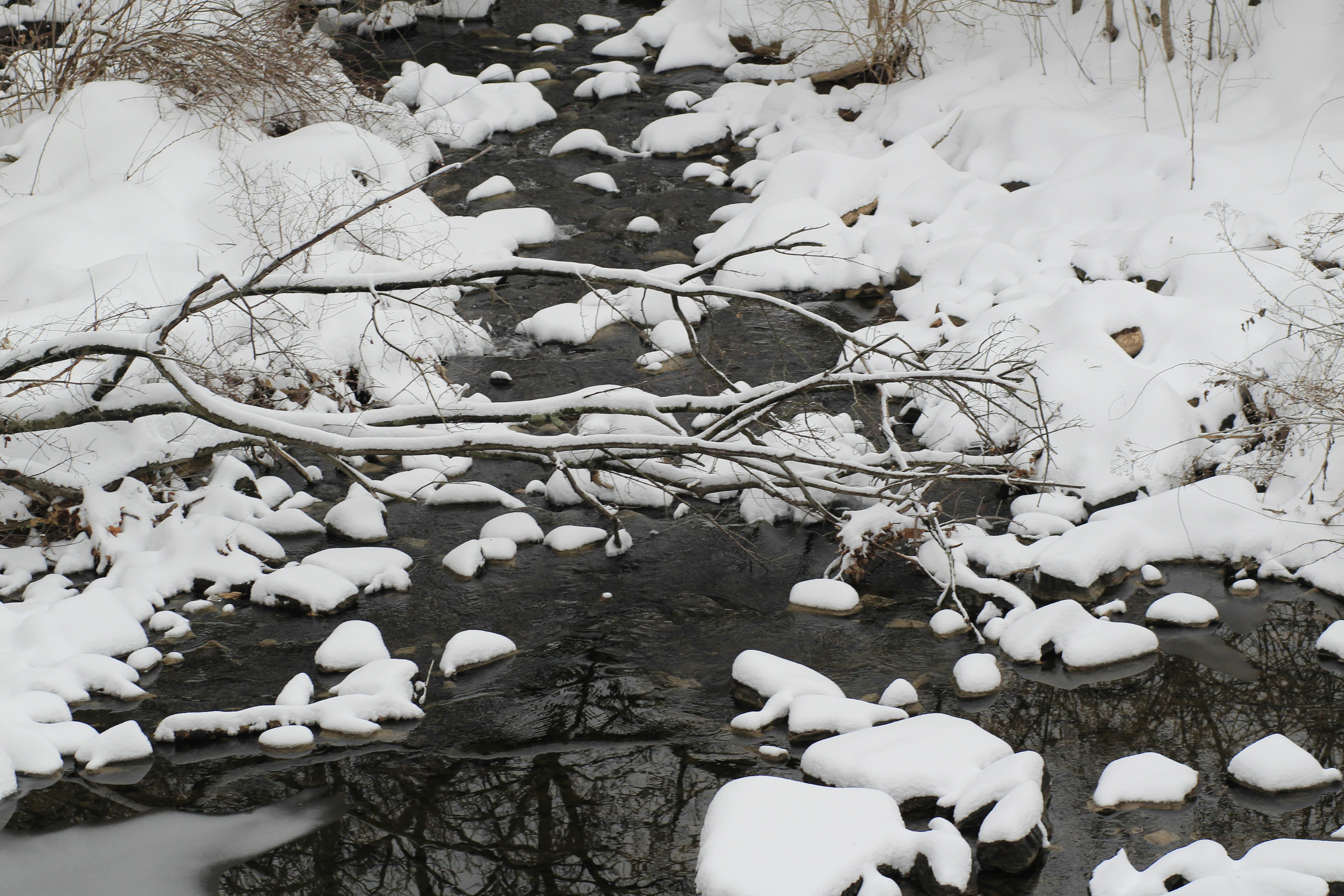 Jeffrey Reed · Photography