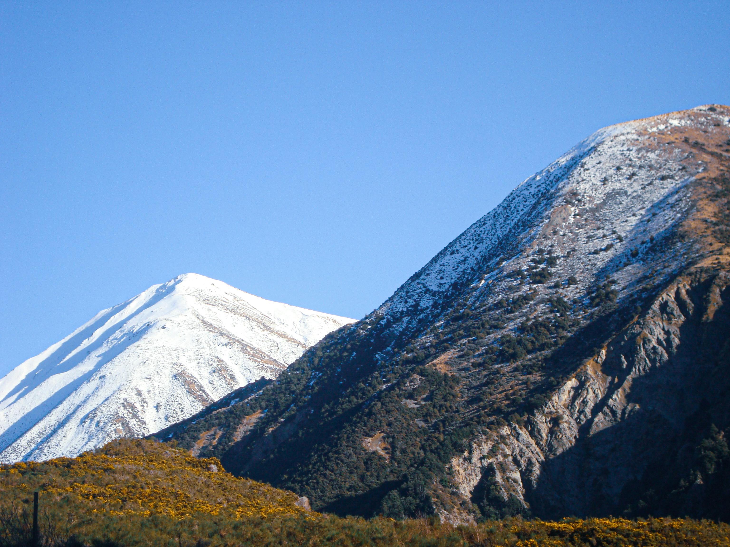 Amy Chandra - 写真