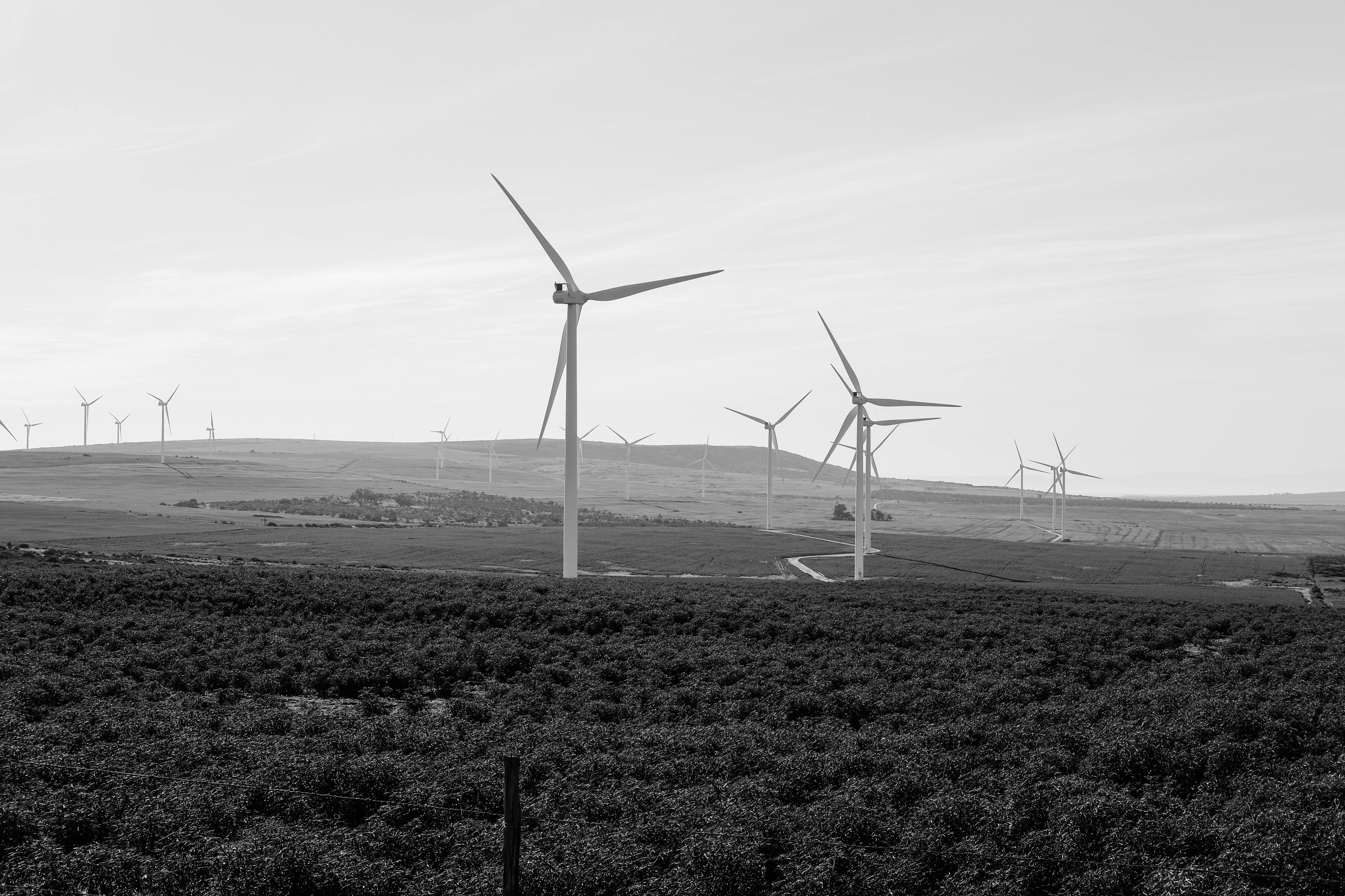 Greyscale Photo Of Windmill · Free Stock Photo
