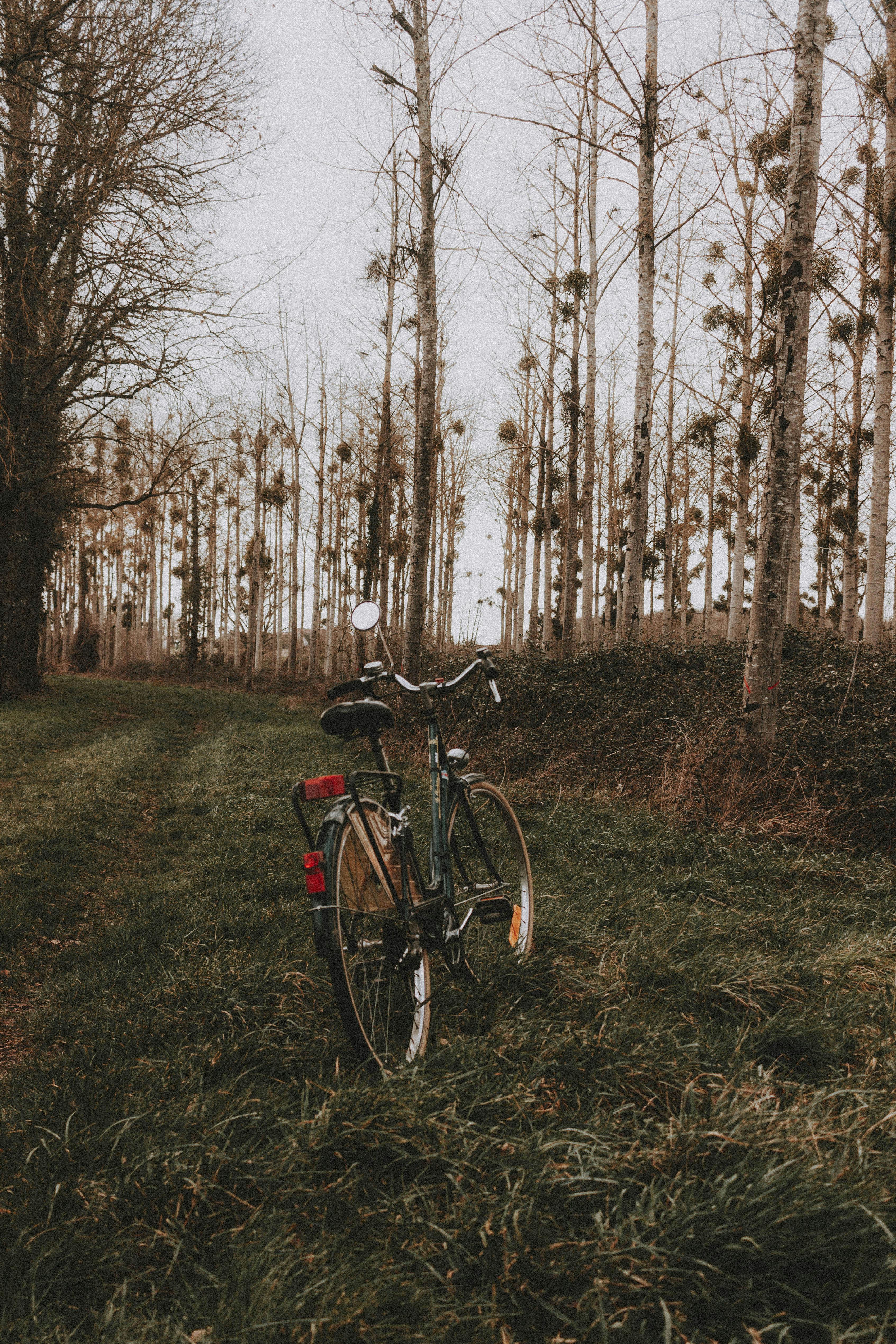Bicycle Rear View Photos, Download The BEST Free Bicycle Rear View ...