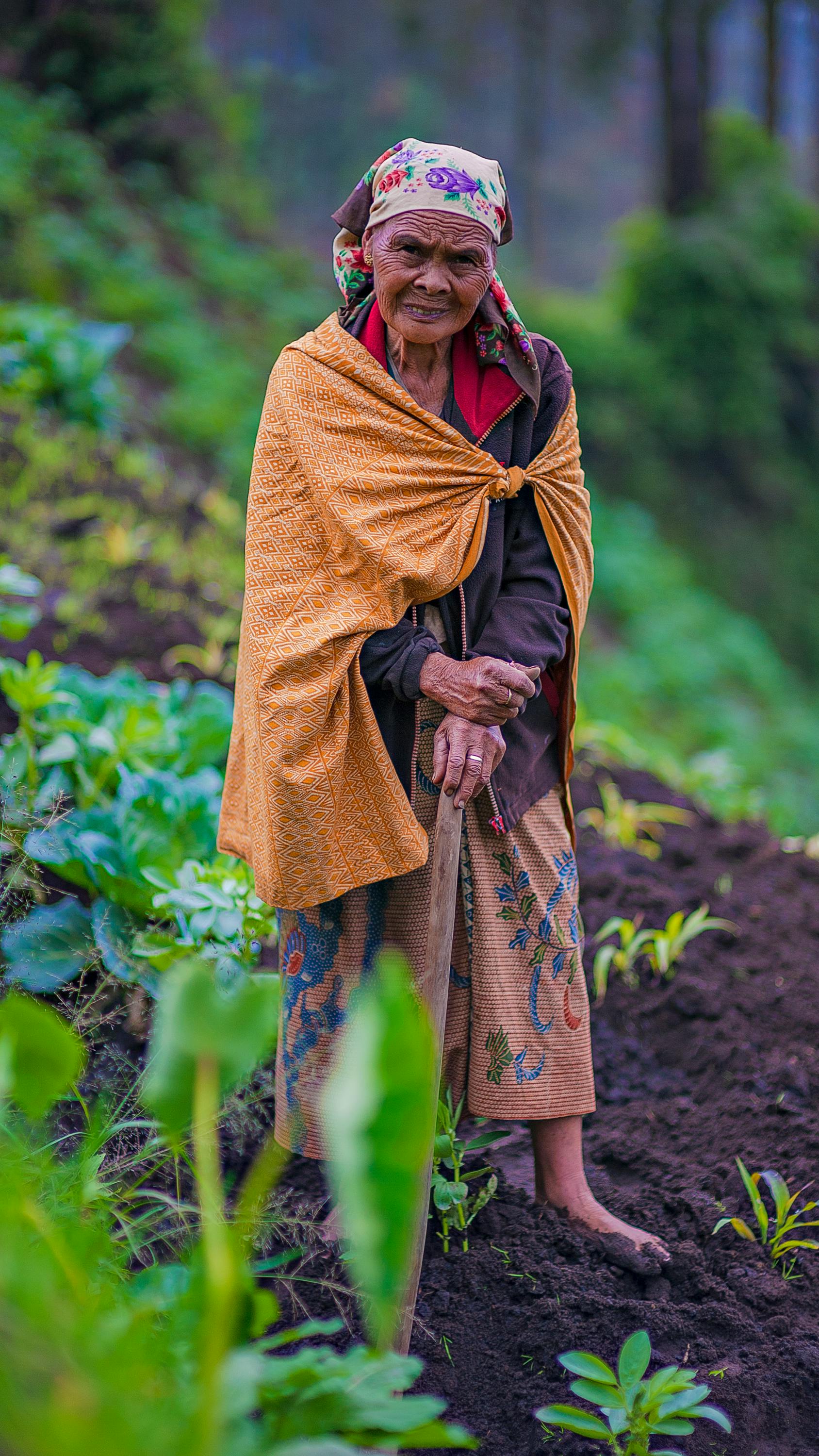 Land Portrait Photos, Download The BEST Free Land Portrait Stock Photos ...