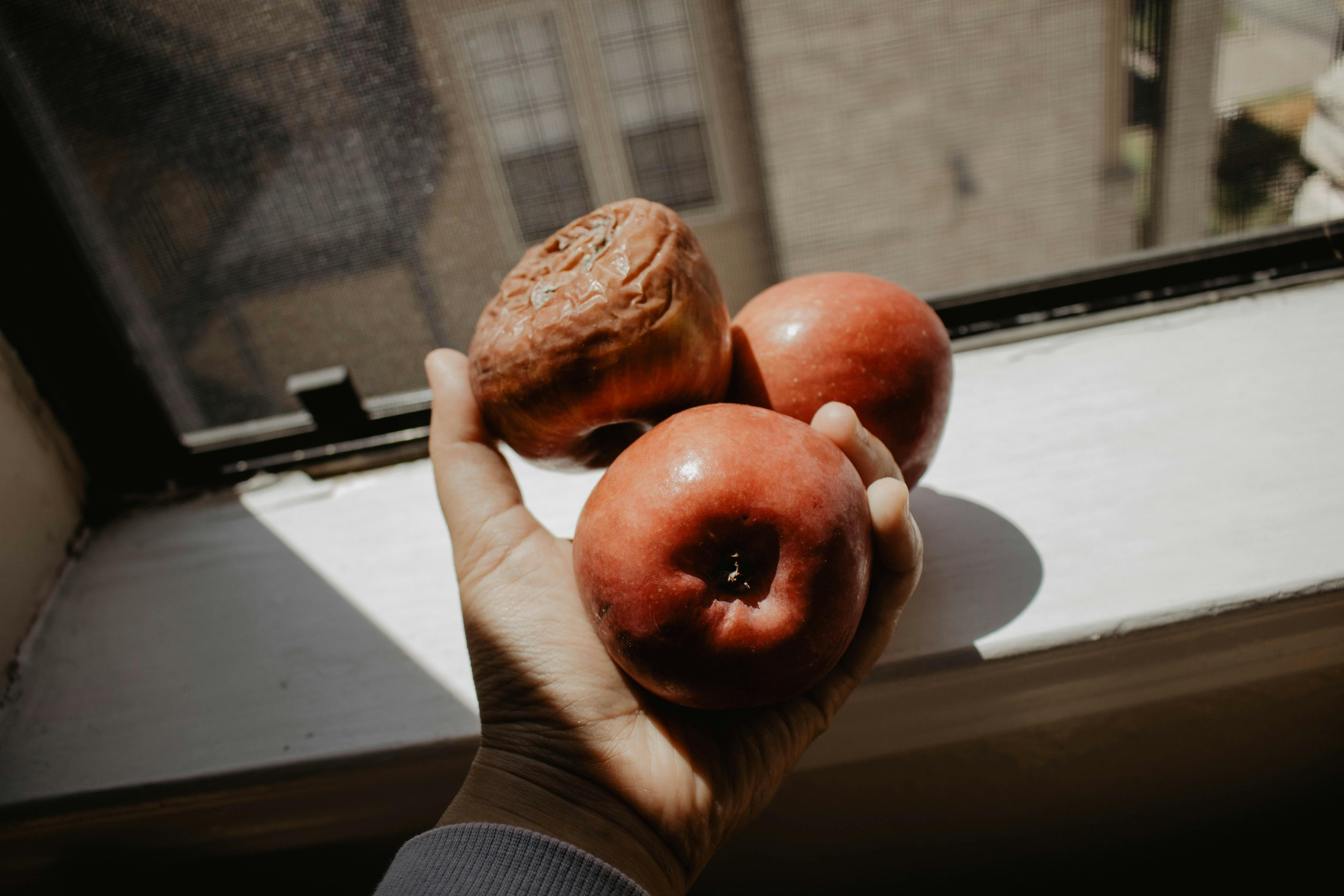 Mr Rotten Apple 25 Photos & Videos Collected by Mizzu Cho