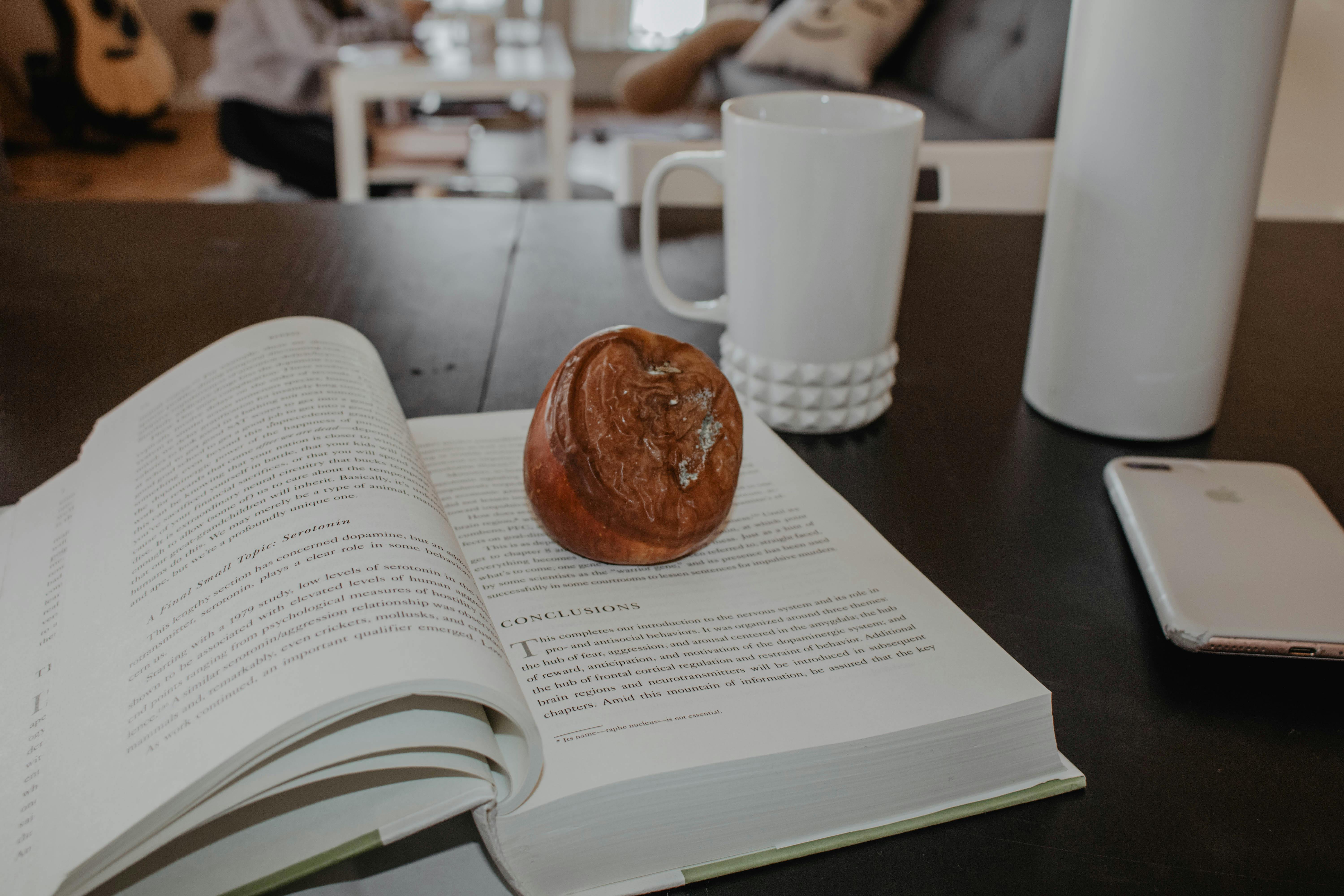 Mr Rotten Apple 25 Photos & Videos Collected by Mizzu Cho