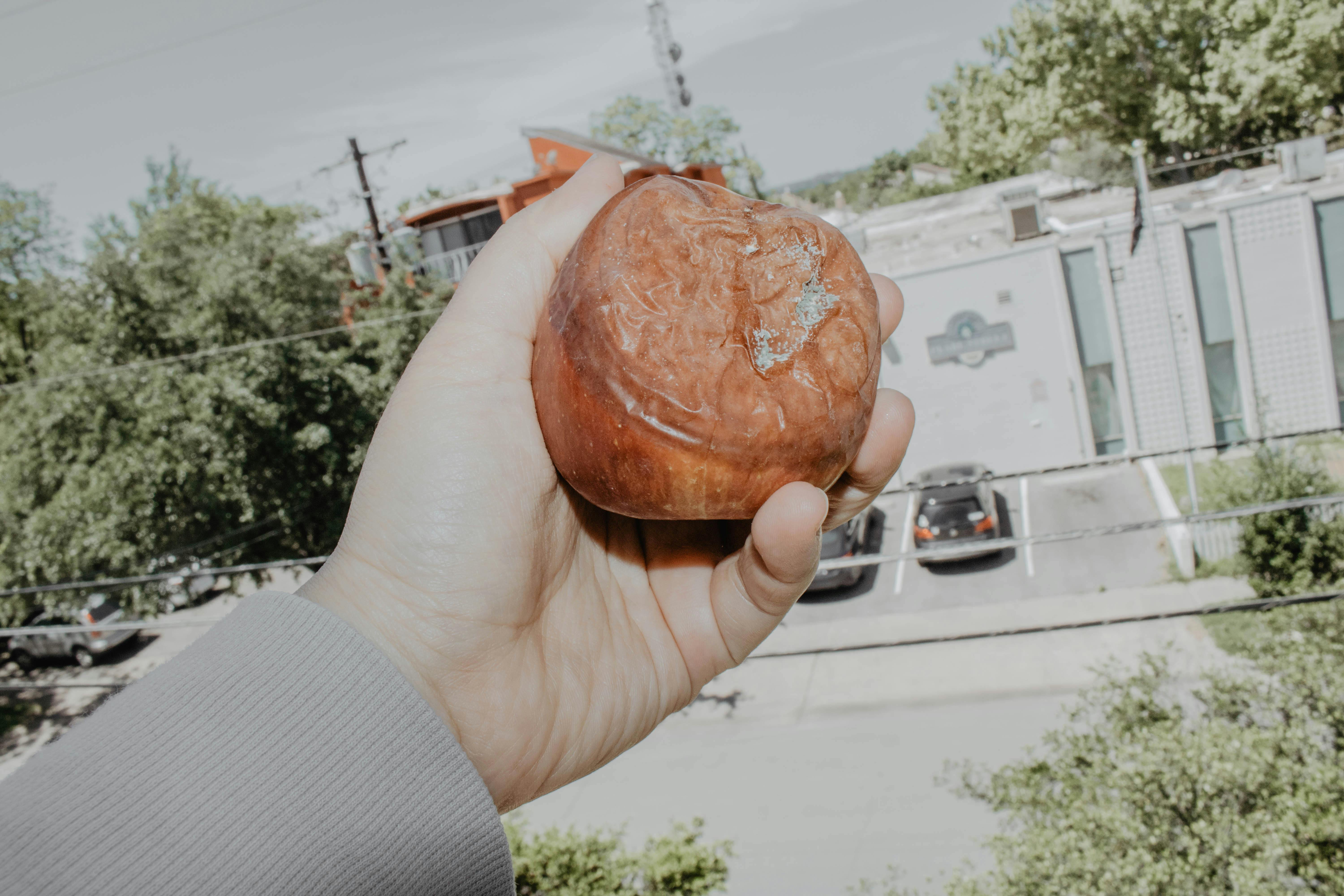 Mizzu Cho 님의 Mr Rotten Apple 컬렉션 사진 및 동영상 25개