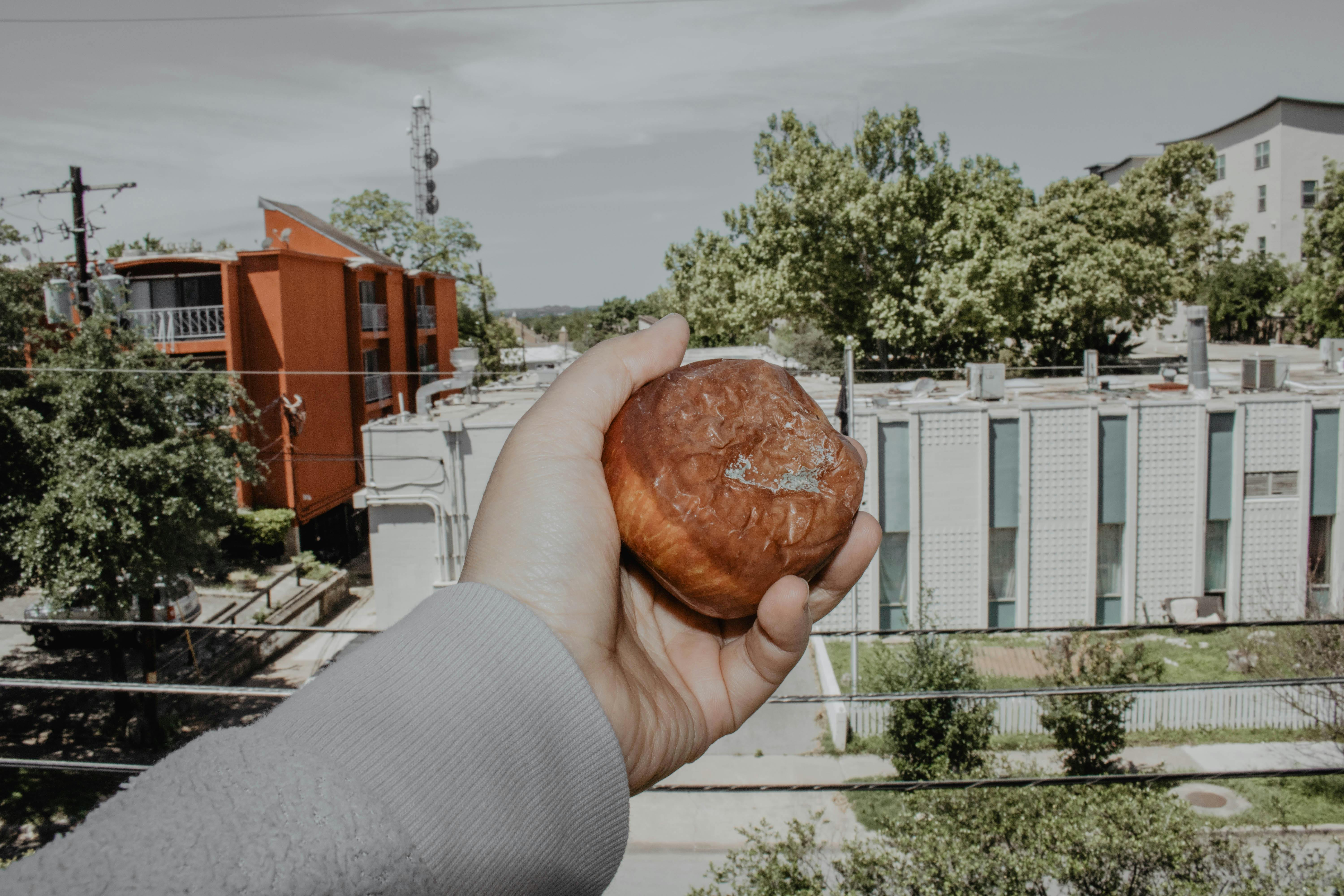 Mr Rotten Apple 25 Photos & Videos Collected by Mizzu Cho