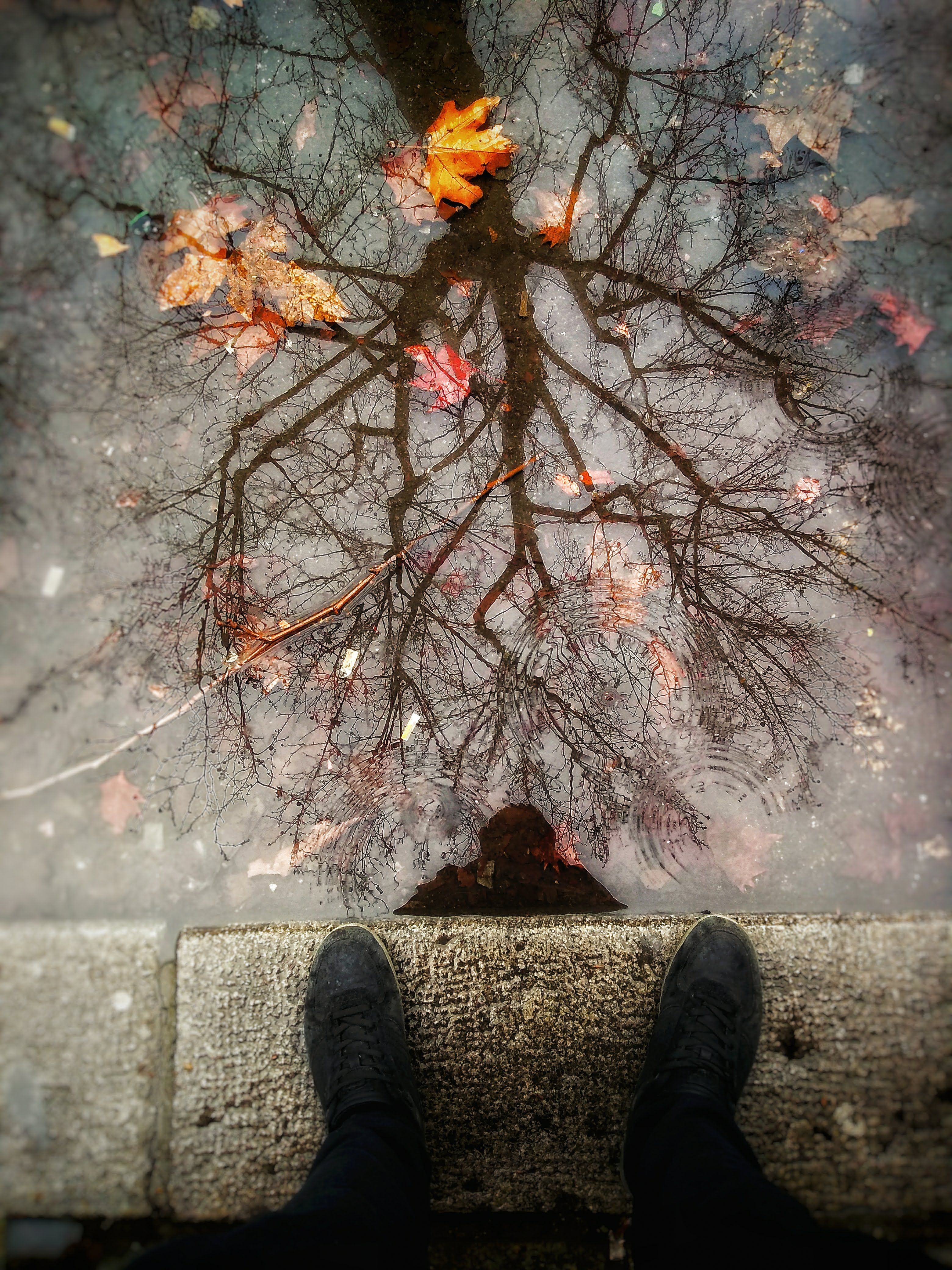 A Person Standing Near a Lake · Free Stock Photo