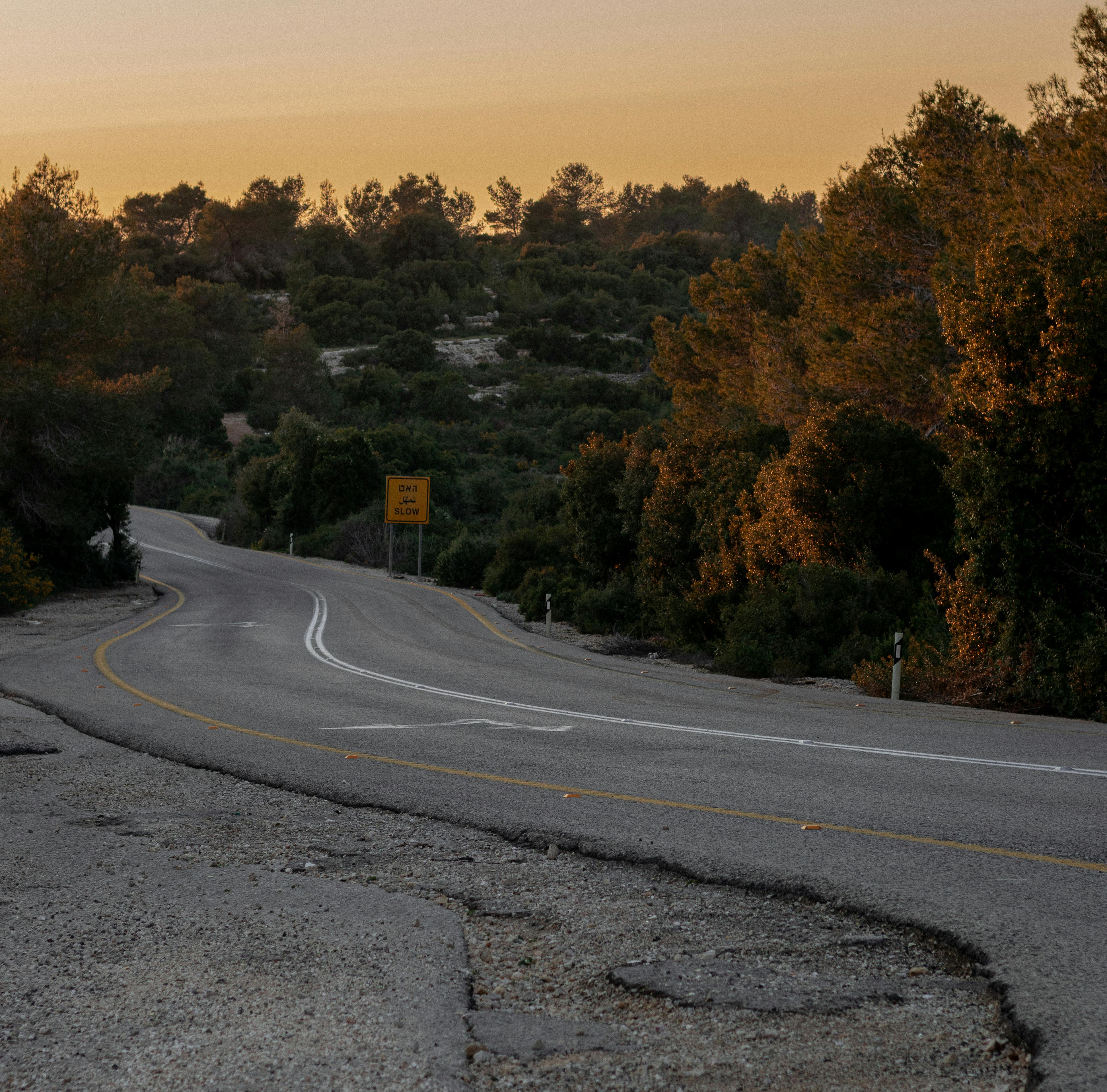 Empty asphalt roadway through green trees · Free Stock Photo