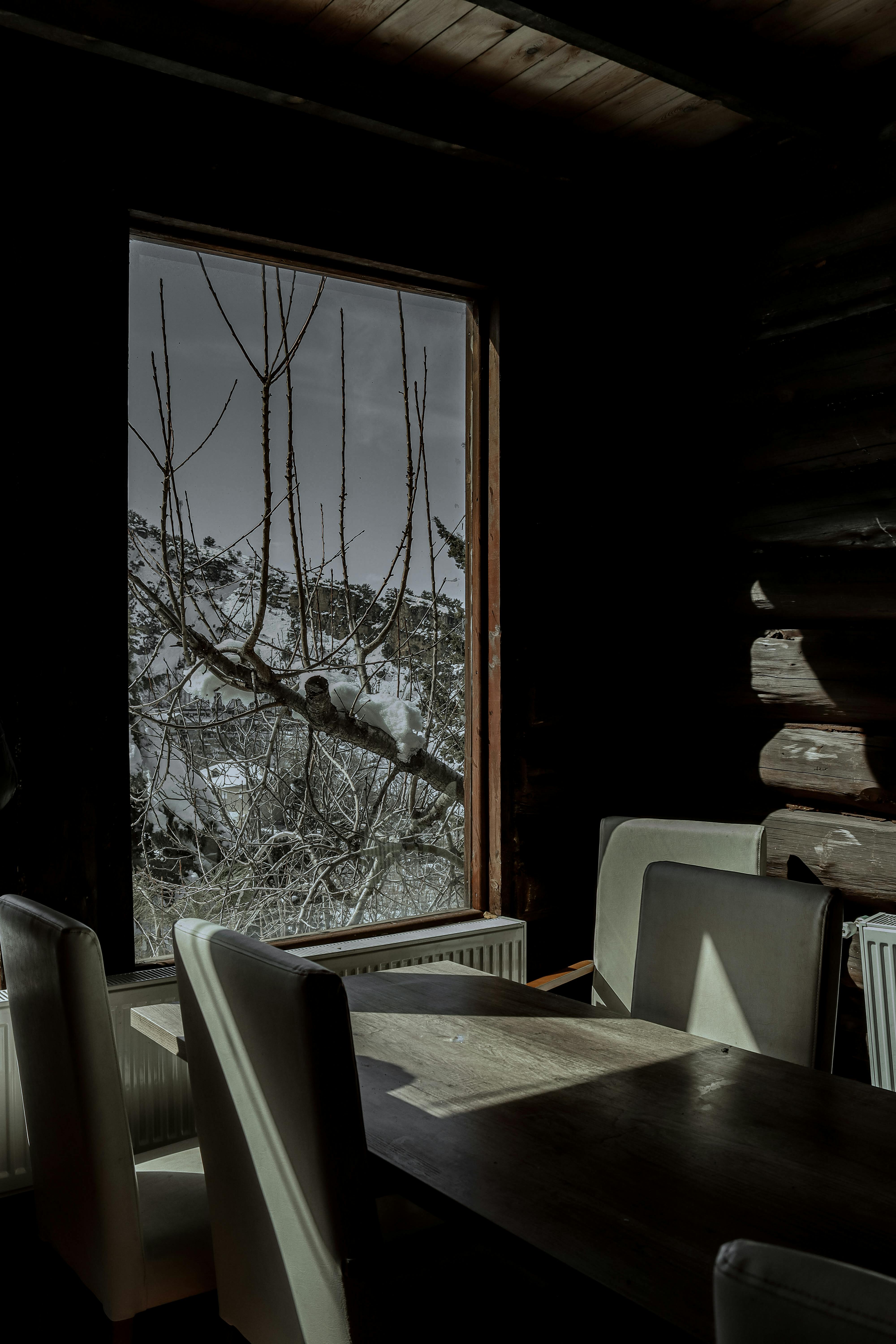 adam el masri - 写真