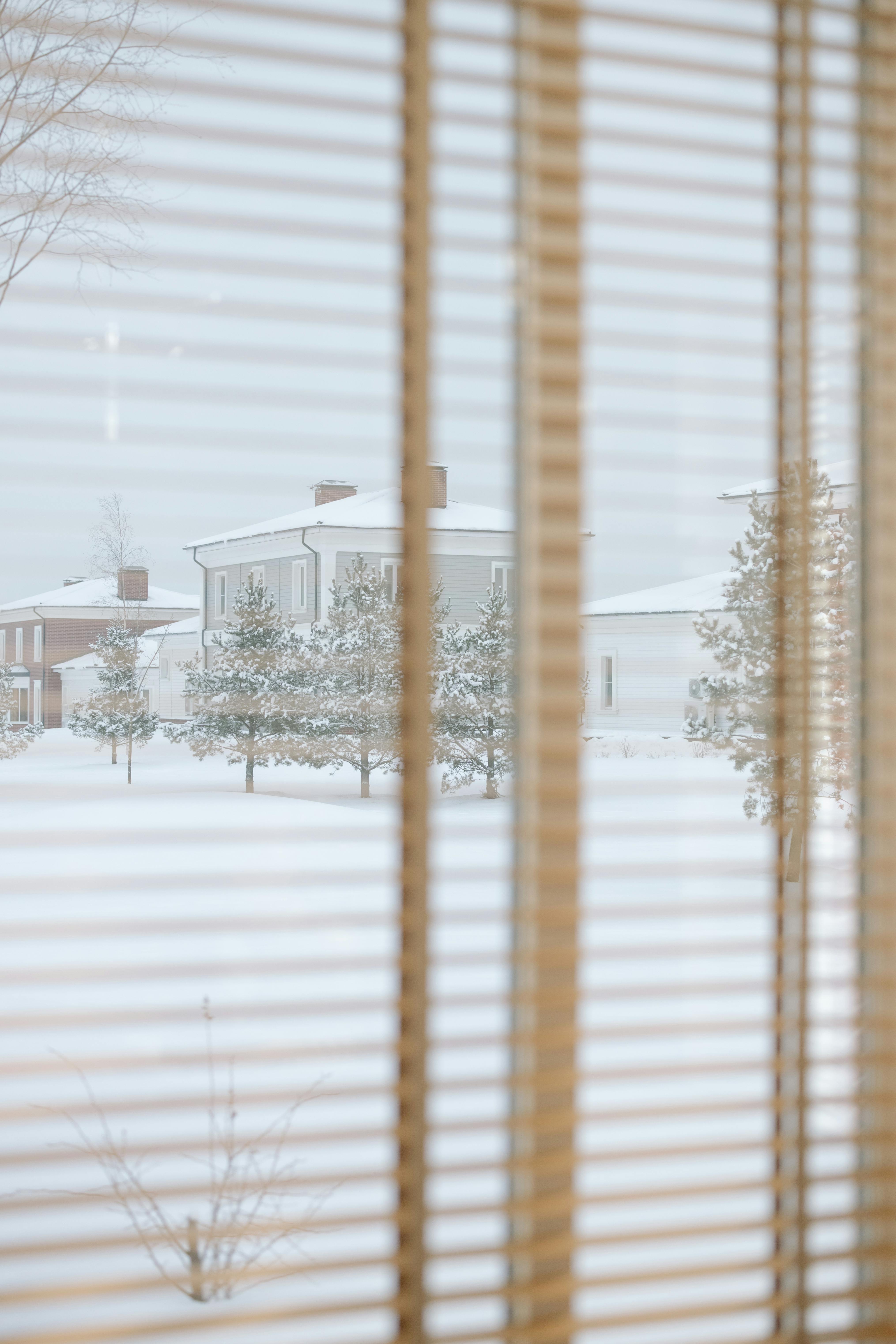 Trees and Buildings in Snow behind Window · Free Stock Photo