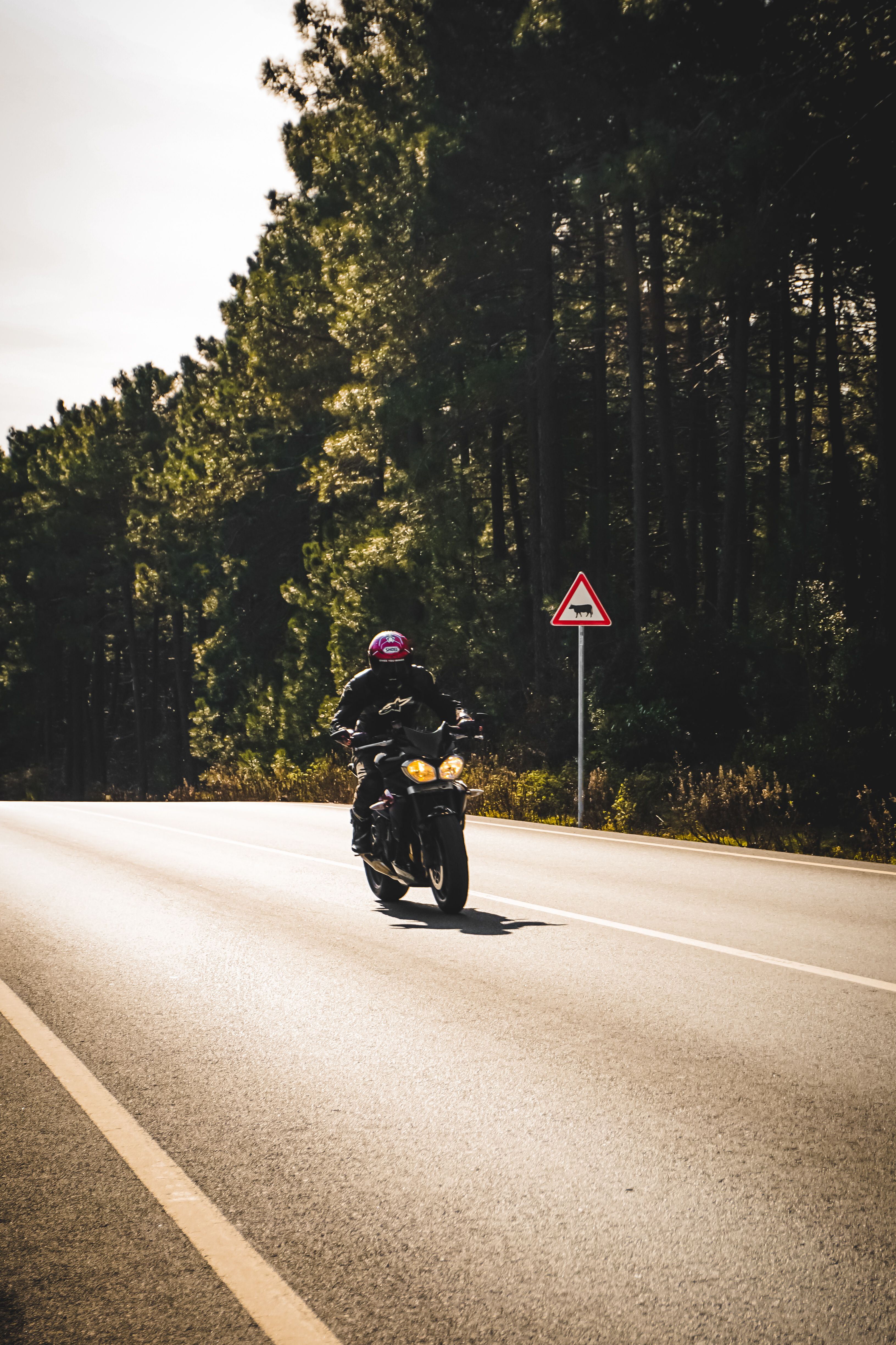 A Person Riding a Motorcycle · Free Stock Photo