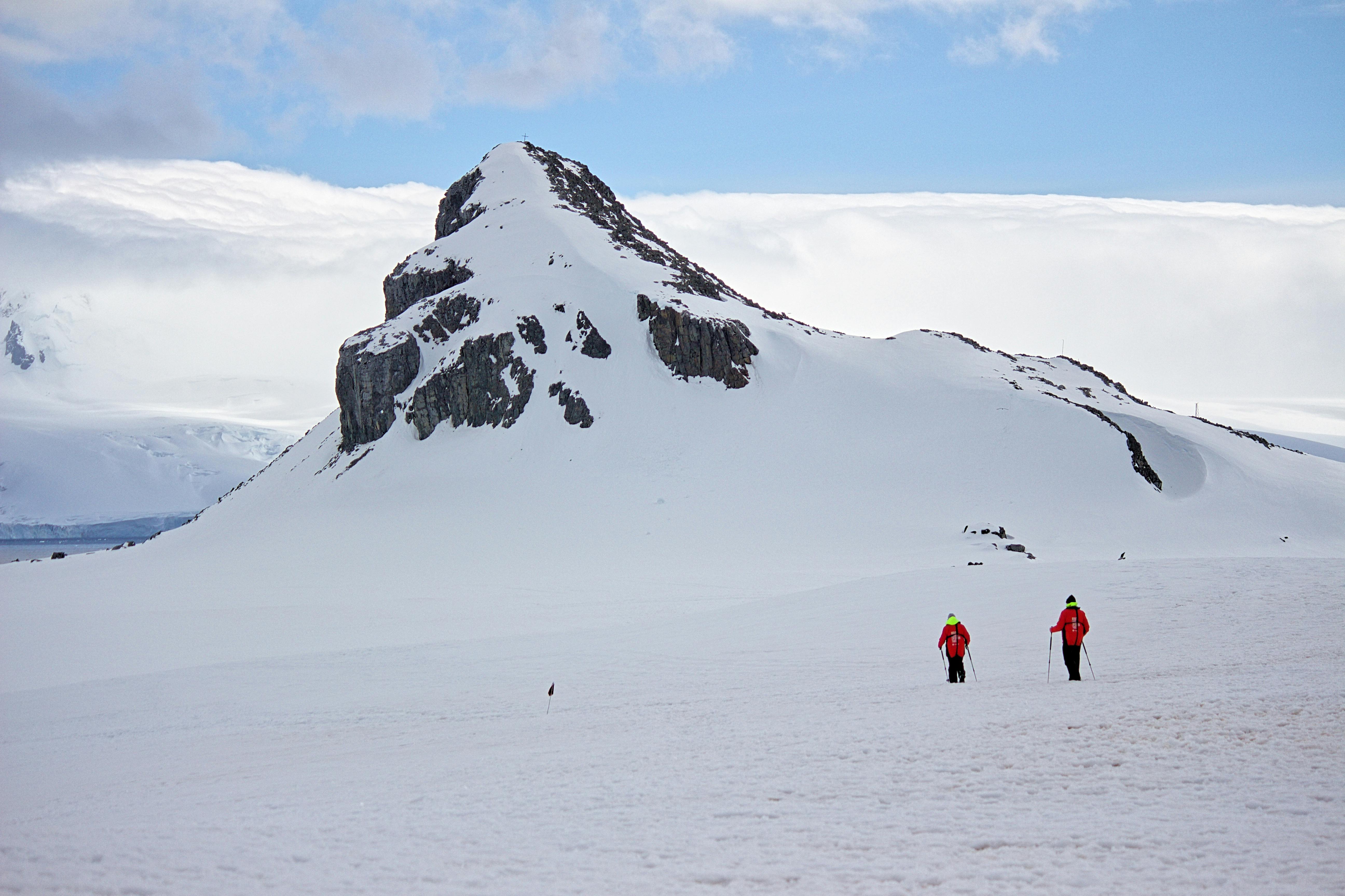 Free stock photo of antarctic, antarctica, cold
