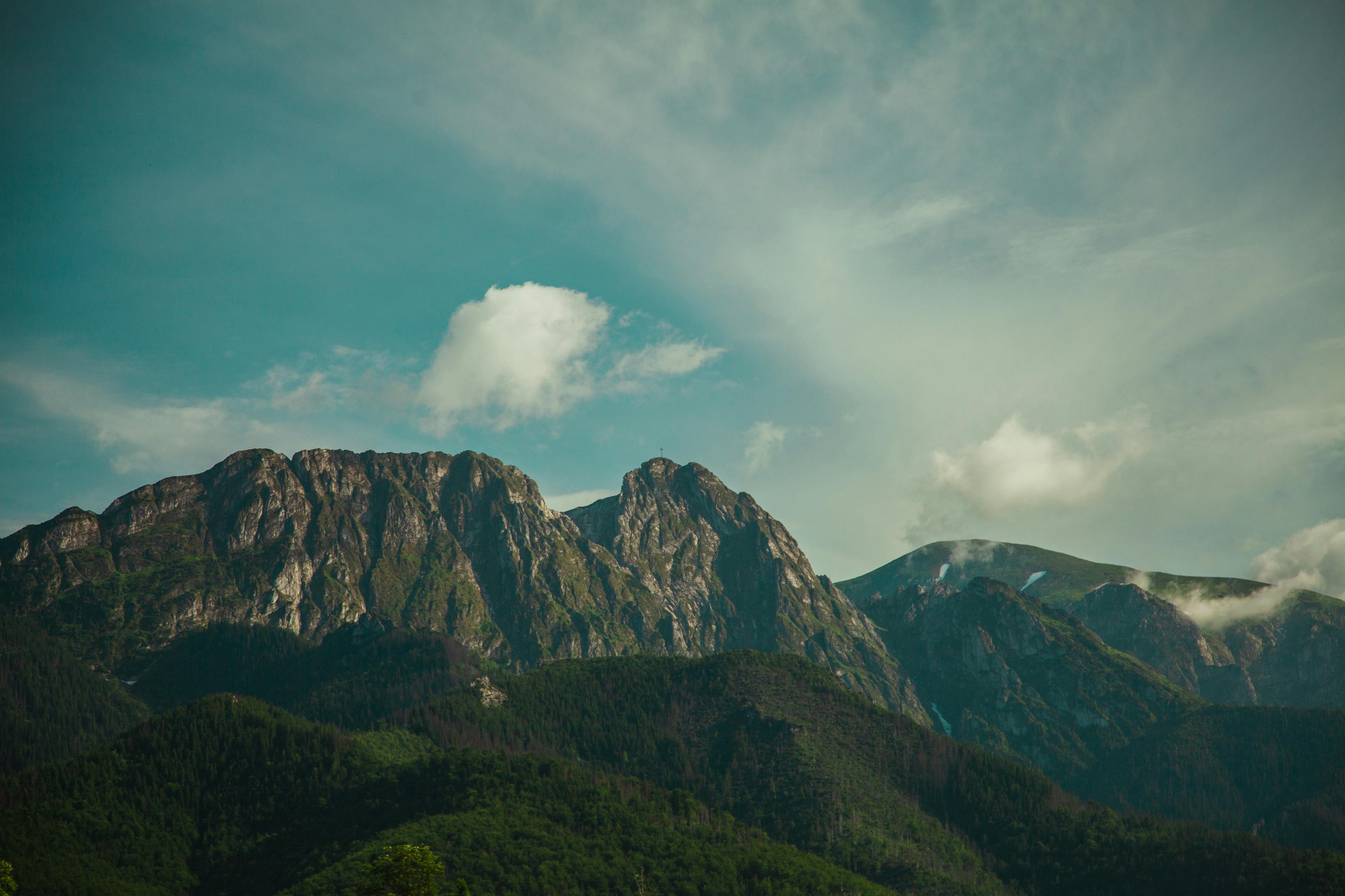 Rocky mountains near forest in nature · Free Stock Photo