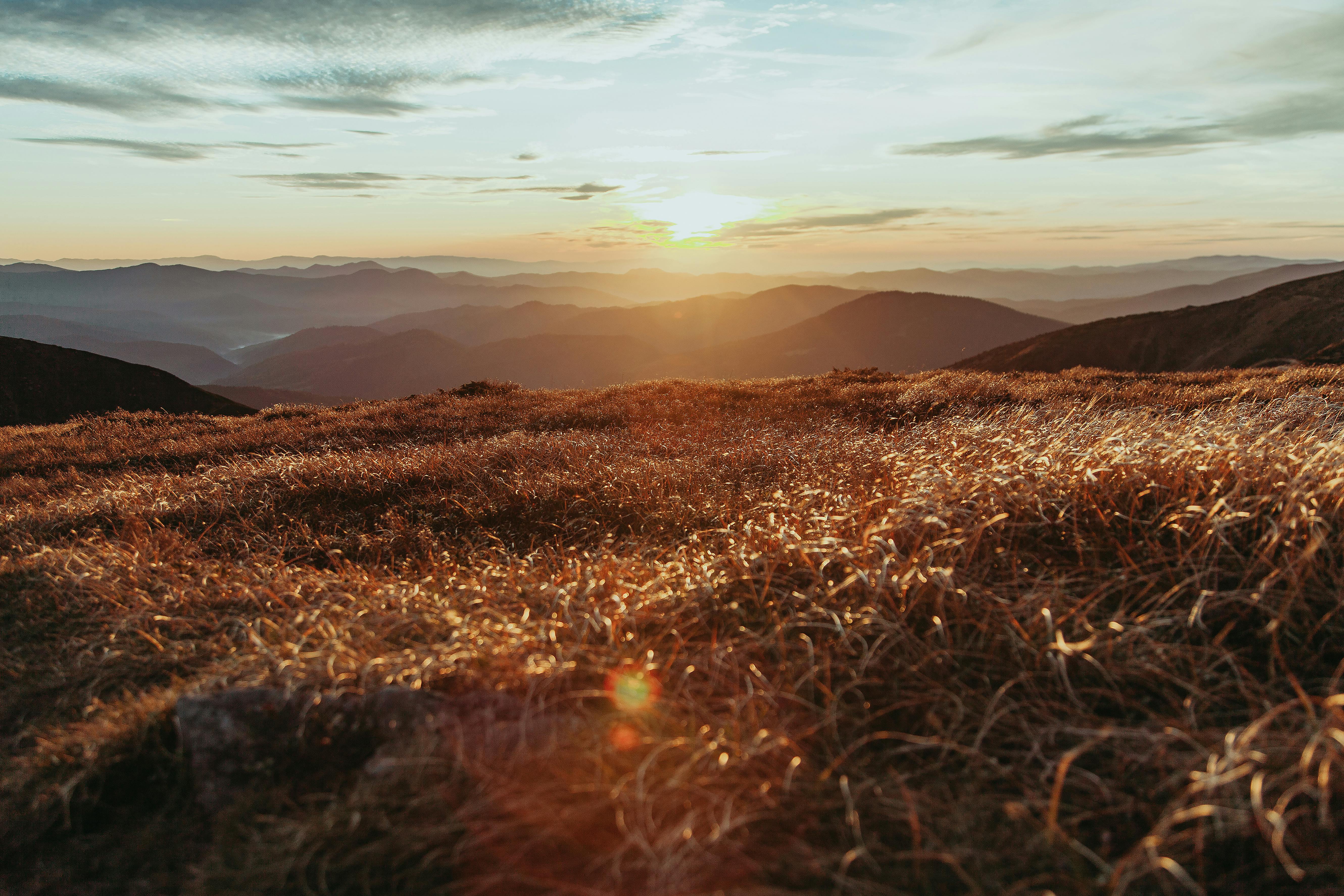 Sunlight over Hills and Grassland · Free Stock Photo
