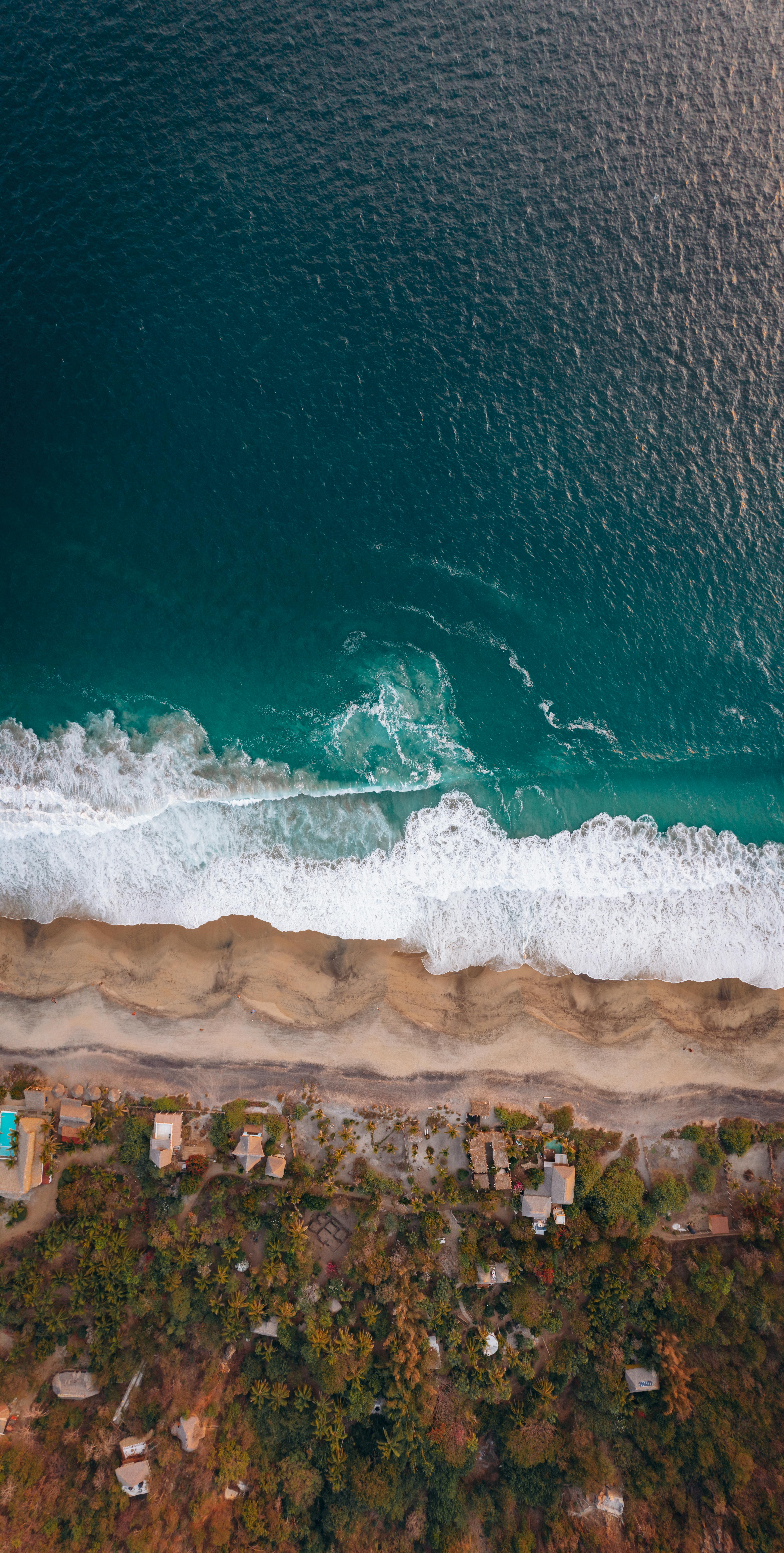 Bird's Eye View of Beachfront Houses along the Shoreline · Free Stock Photo