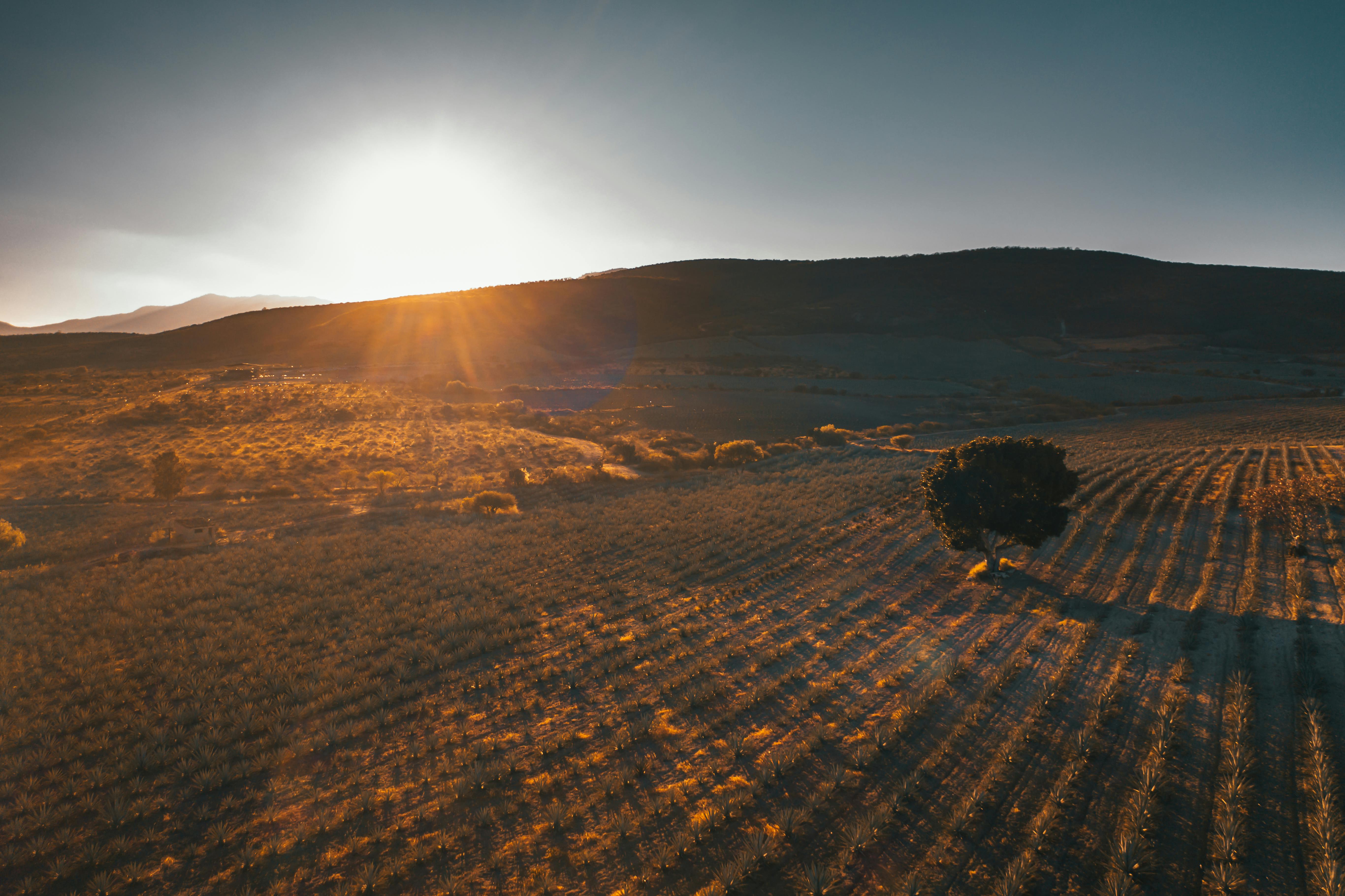 Mexican Farm Photos, Download The BEST Free Mexican Farm Stock Photos ...