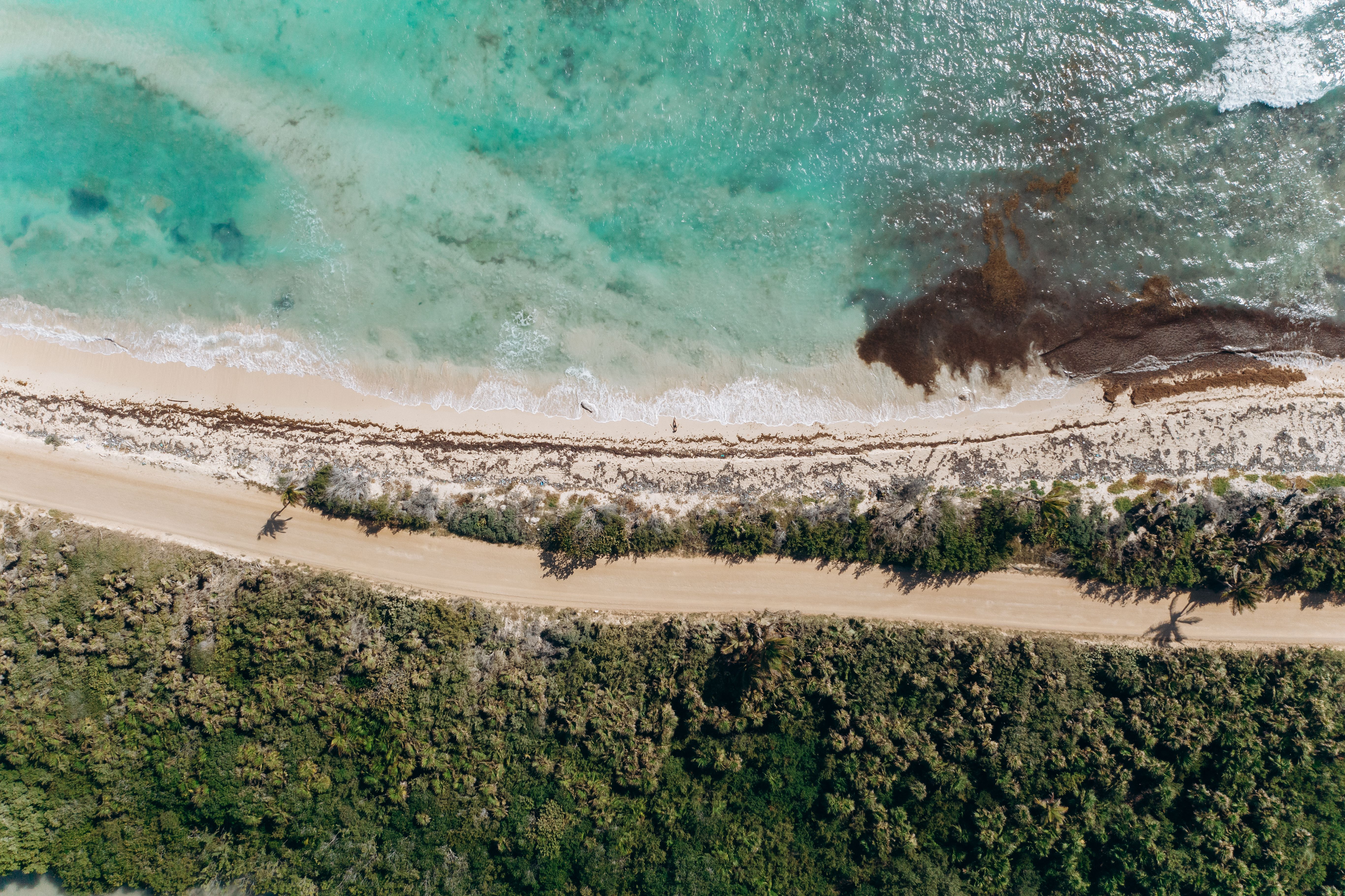 Aerial Shot of a Seashore · Free Stock Photo