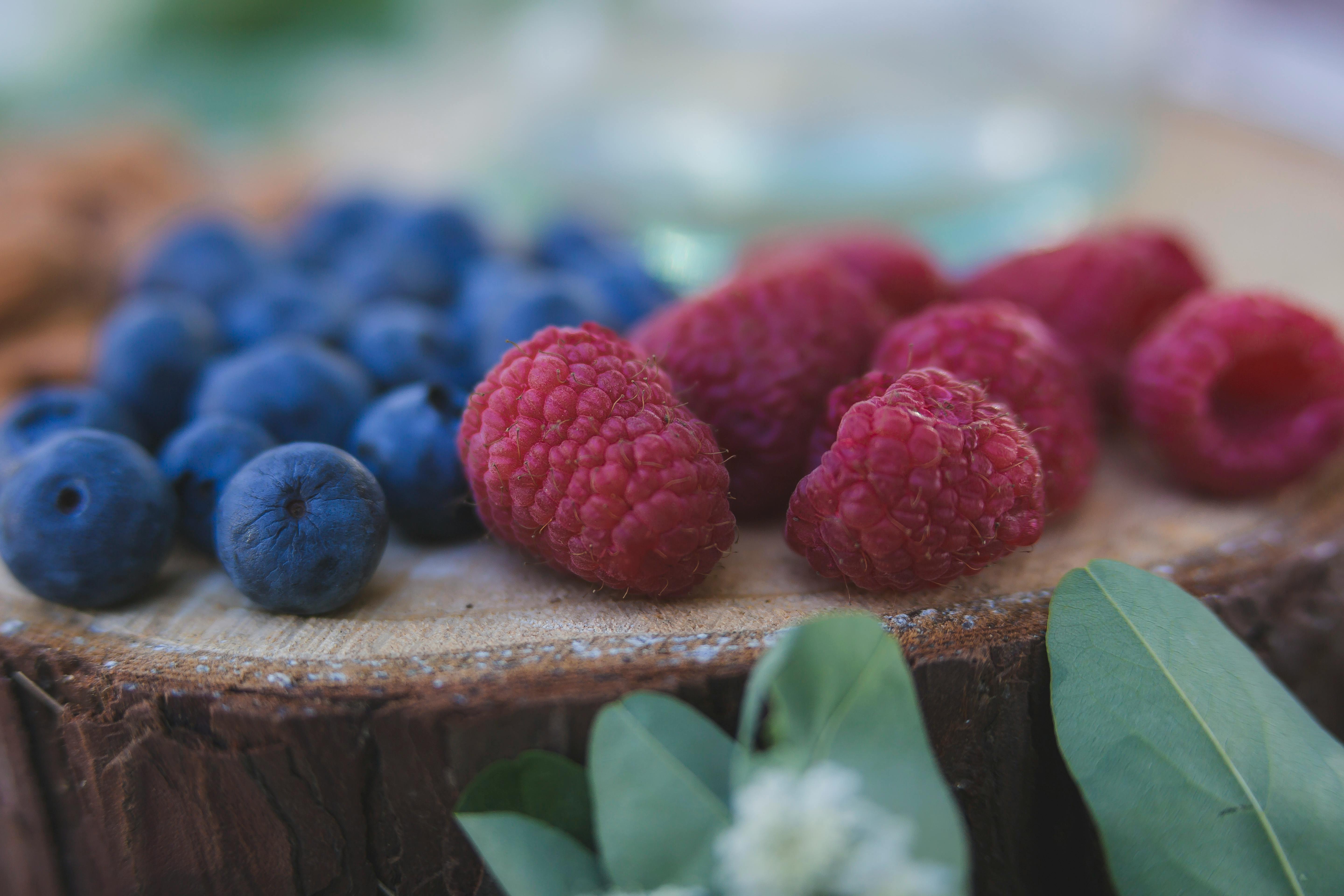 Free stock photo of blueberries, closeup, fruit