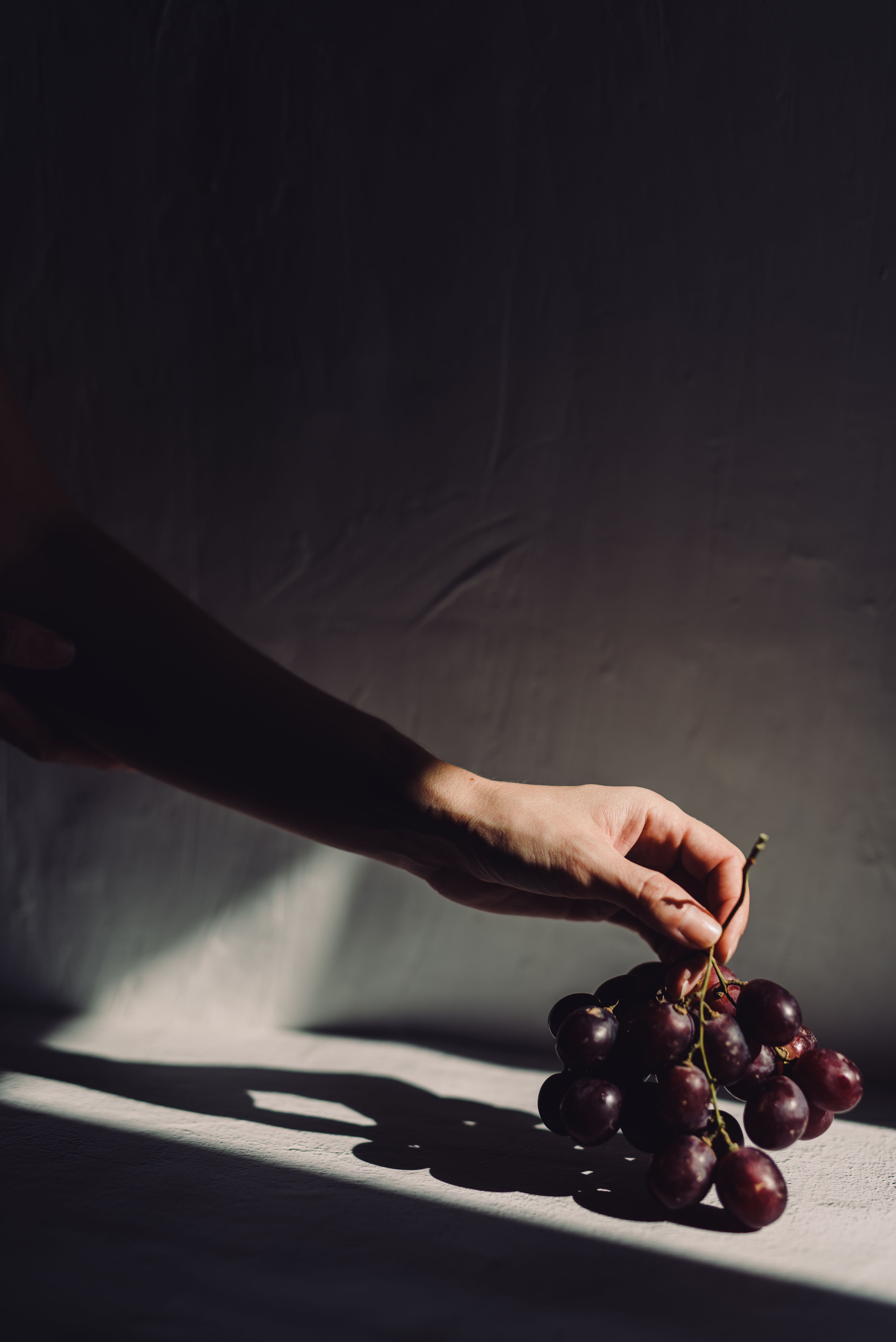 Person Holding Red Round Fruit · Free Stock Photo
