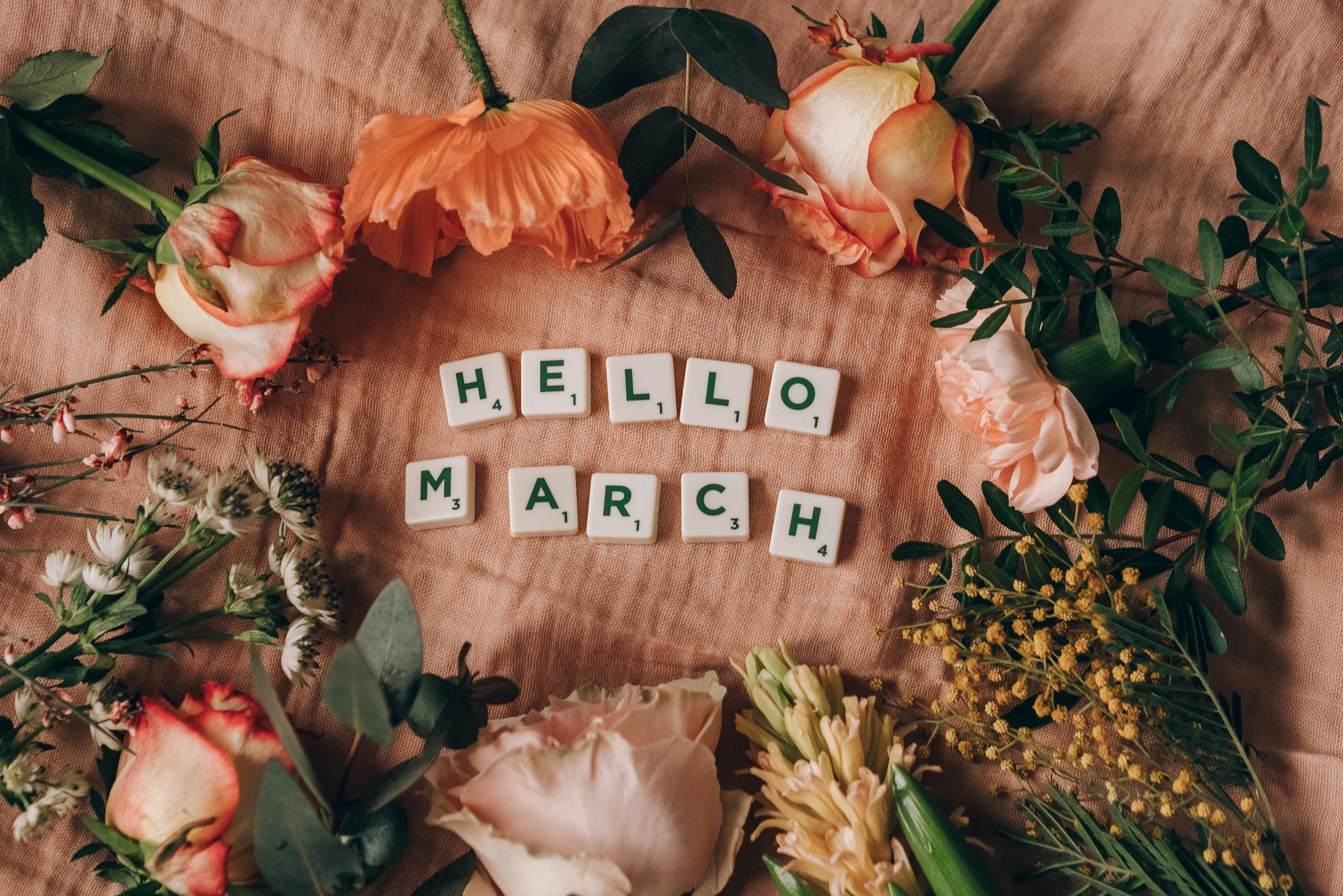 March Photos, Download The BEST Free March Stock Photos & HD Images
