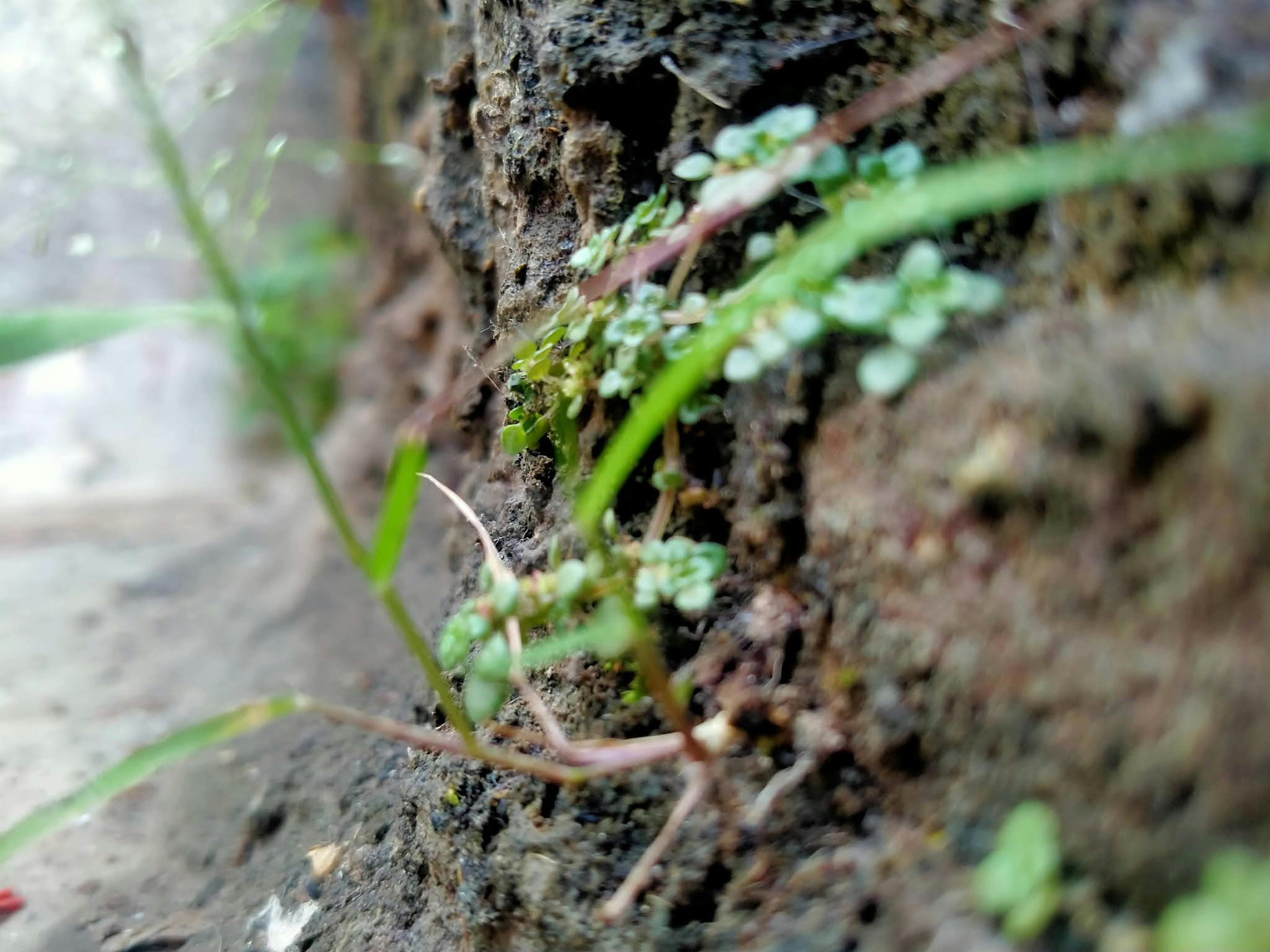 Saikishor Rasala - Photography