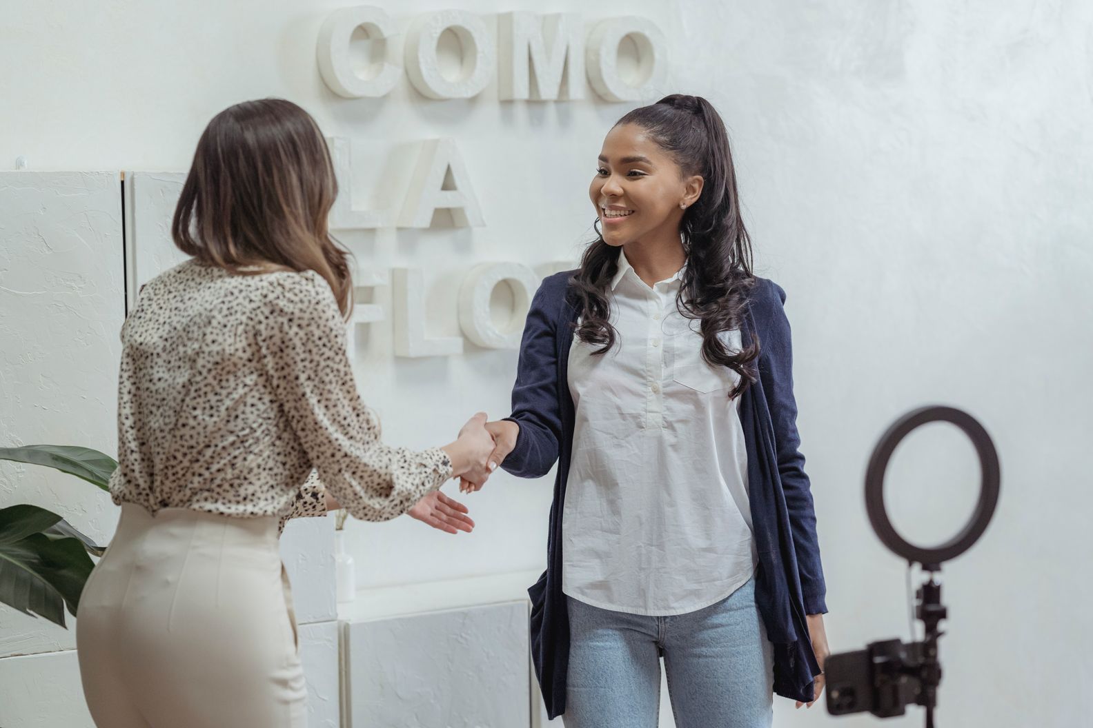 What Is an Affiliated Company? Types, Rules, Benefits