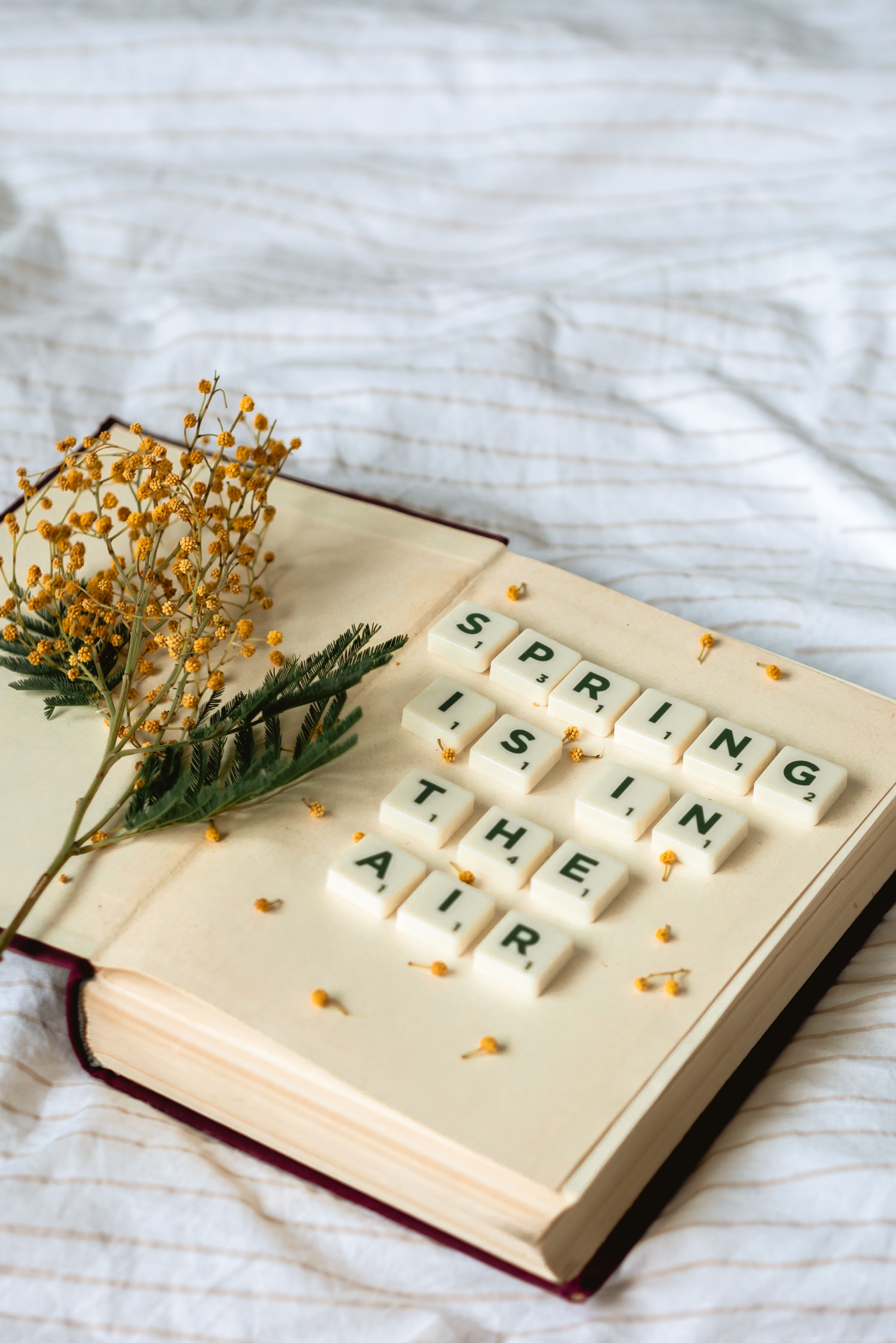 Scrabble Letter Tiles over a Book · Free Stock Photo