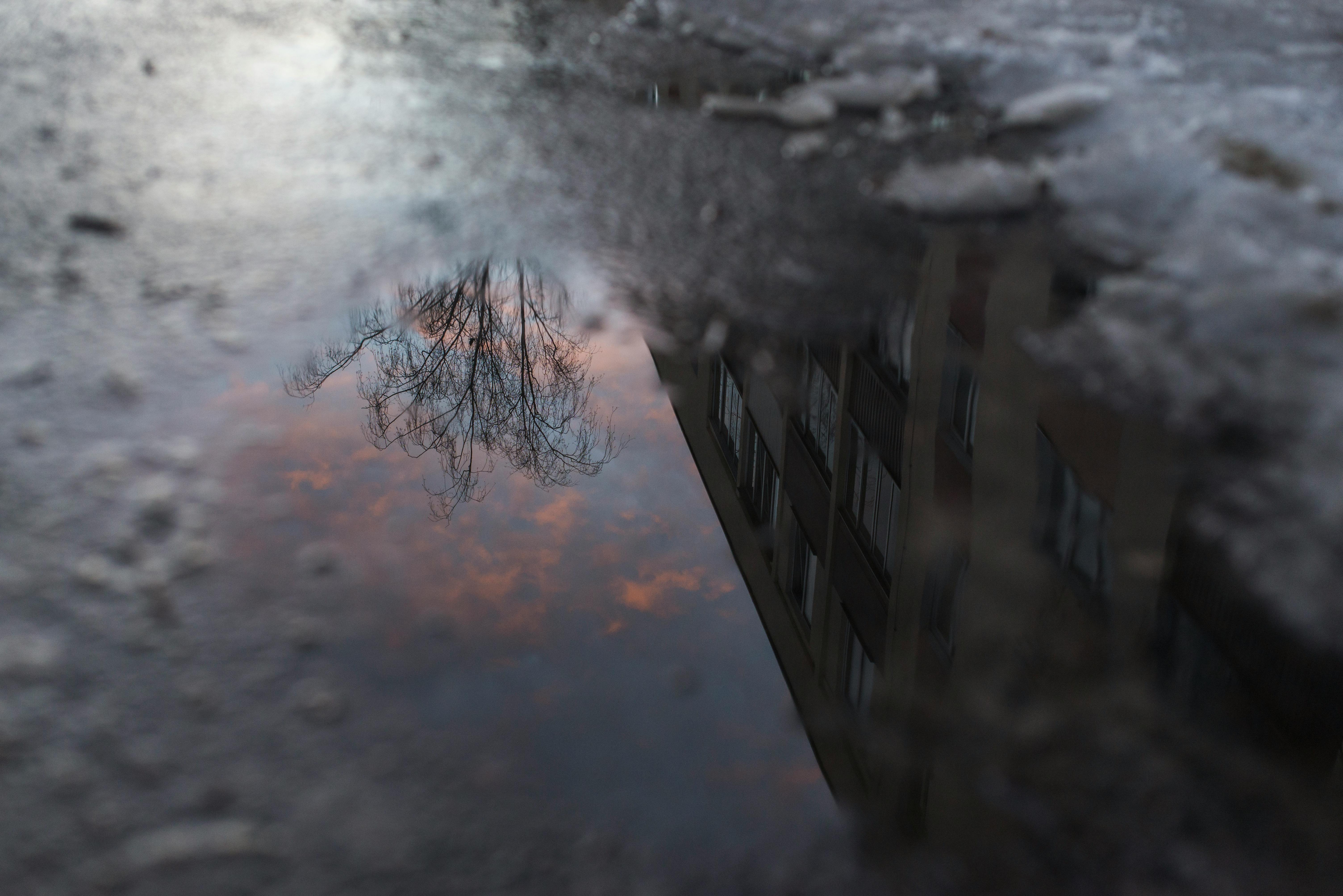 Puddle Reflections Photos, Download The BEST Free Puddle Reflections ...
