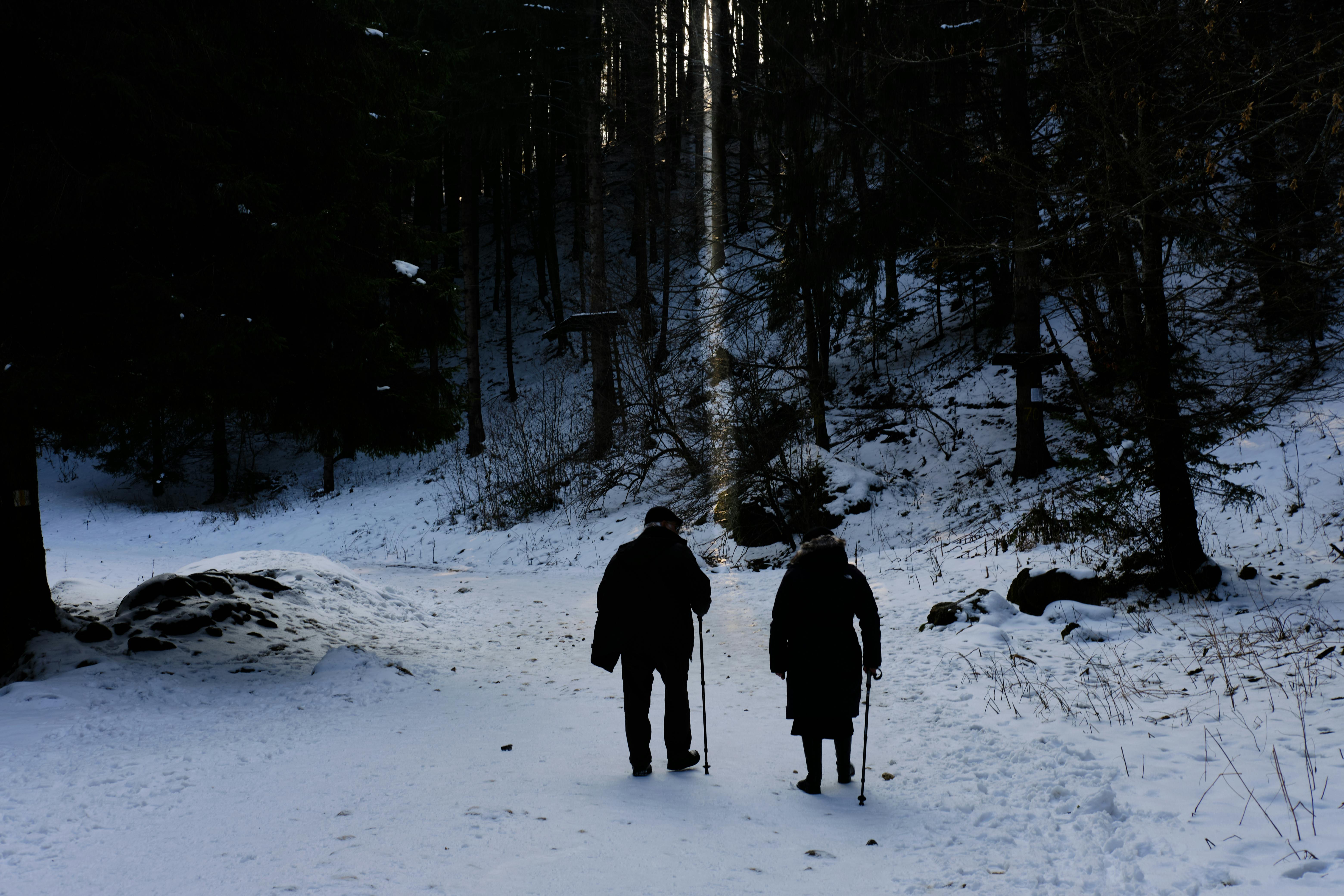 Two Person Walking on Snow · Free Stock Photo