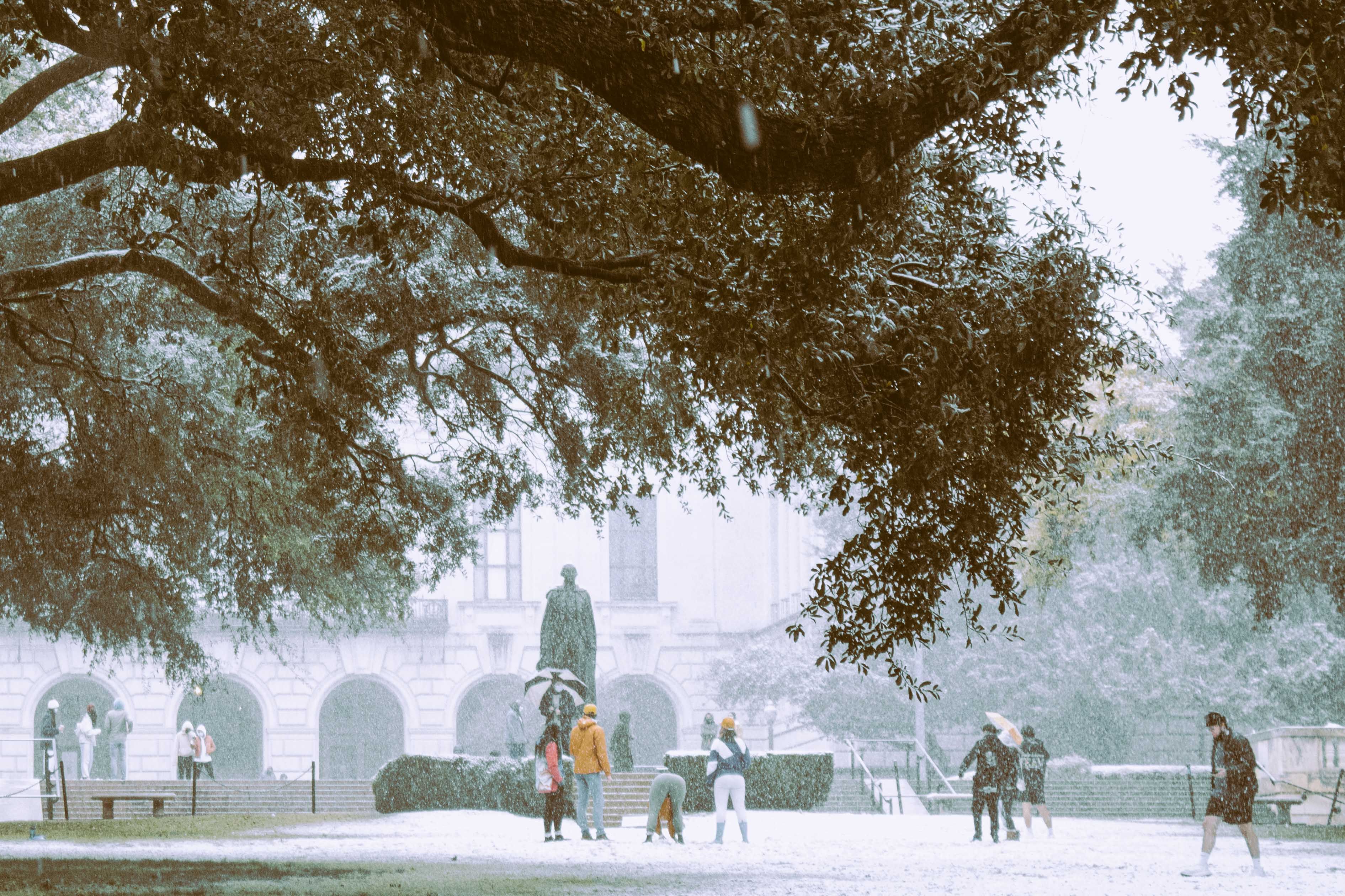 University Of North Texas Union Circle Denton TX: What To Know