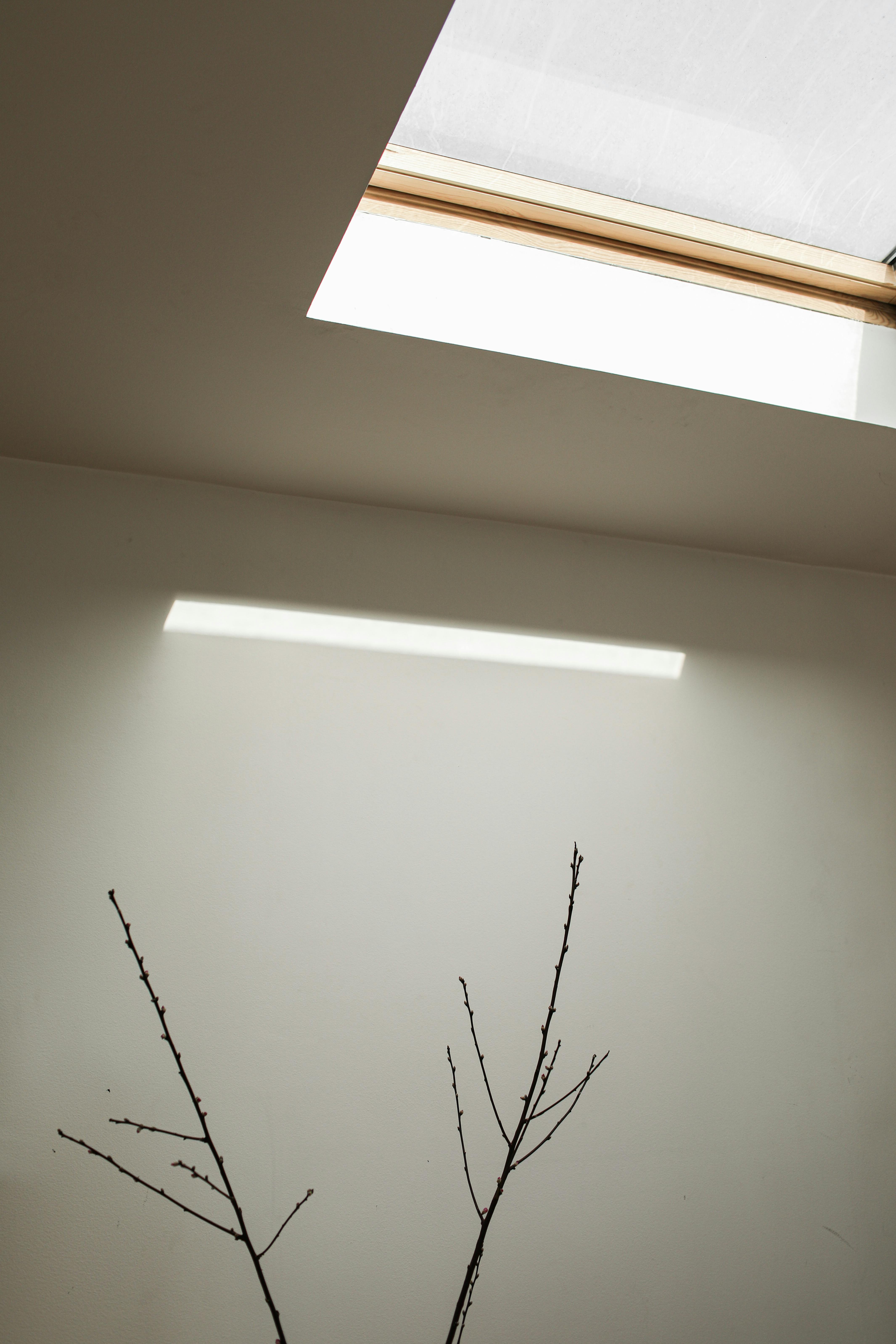Rectangular Skylight Photos, Download The BEST Free Rectangular ...